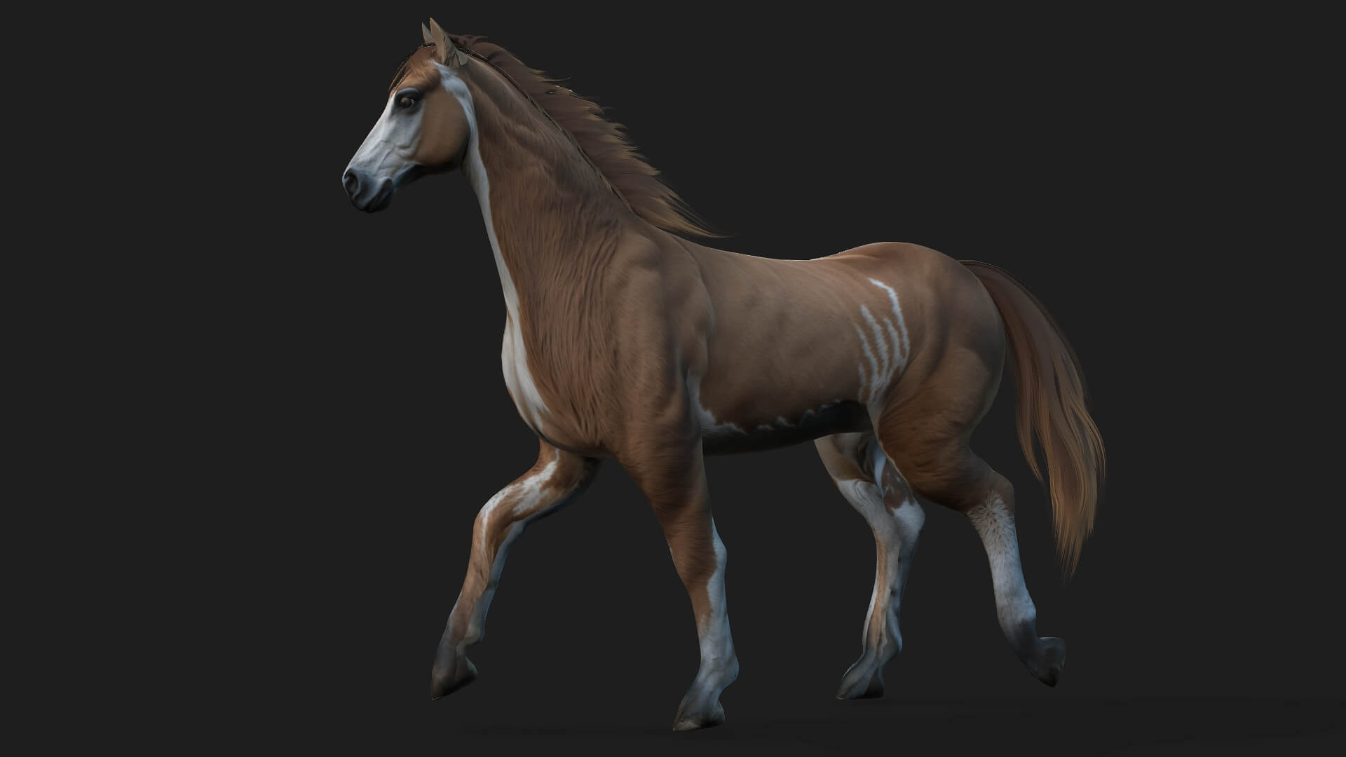 Horse A3 Animated - 3D Model by Animated3d