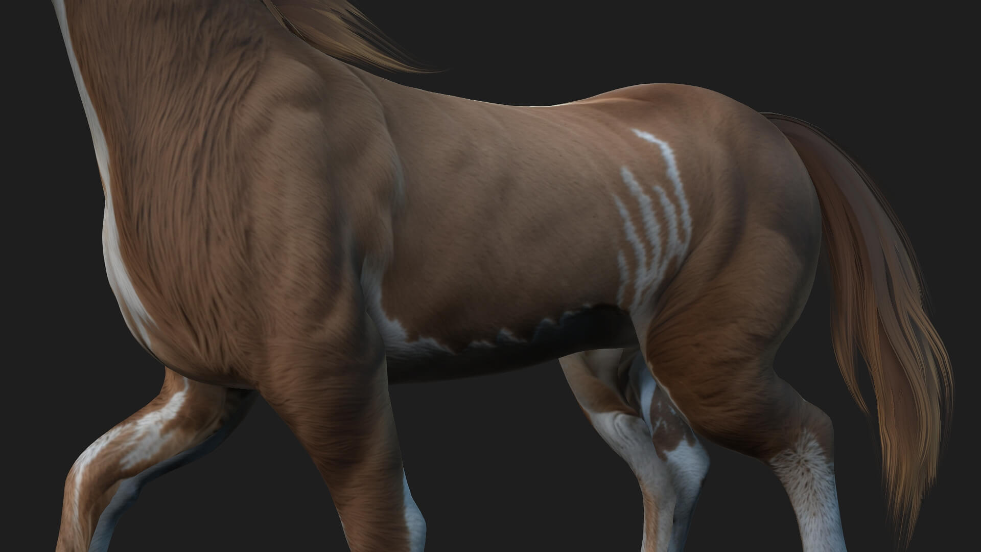 Horse A3 Animated - 3D Model by Animated3d