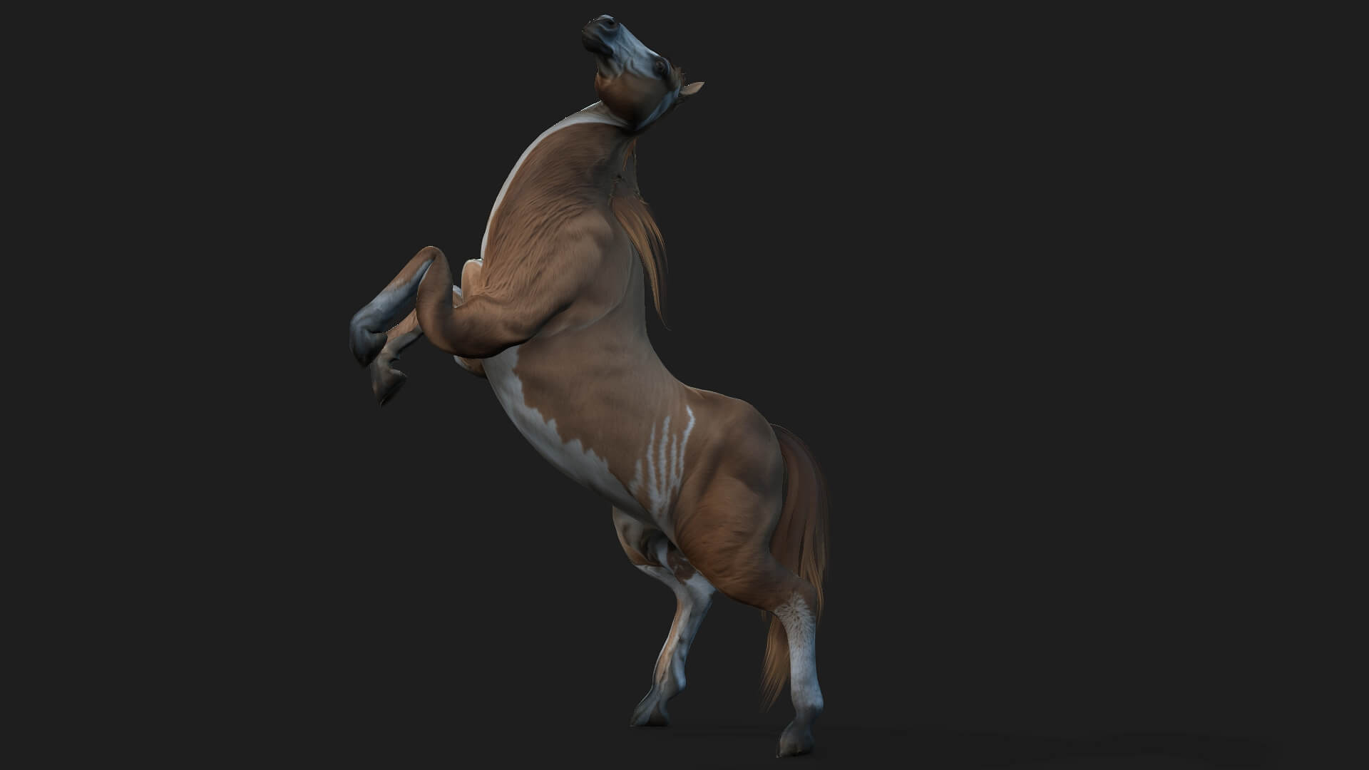 Horse A3 Animated - 3D Model by Animated3d