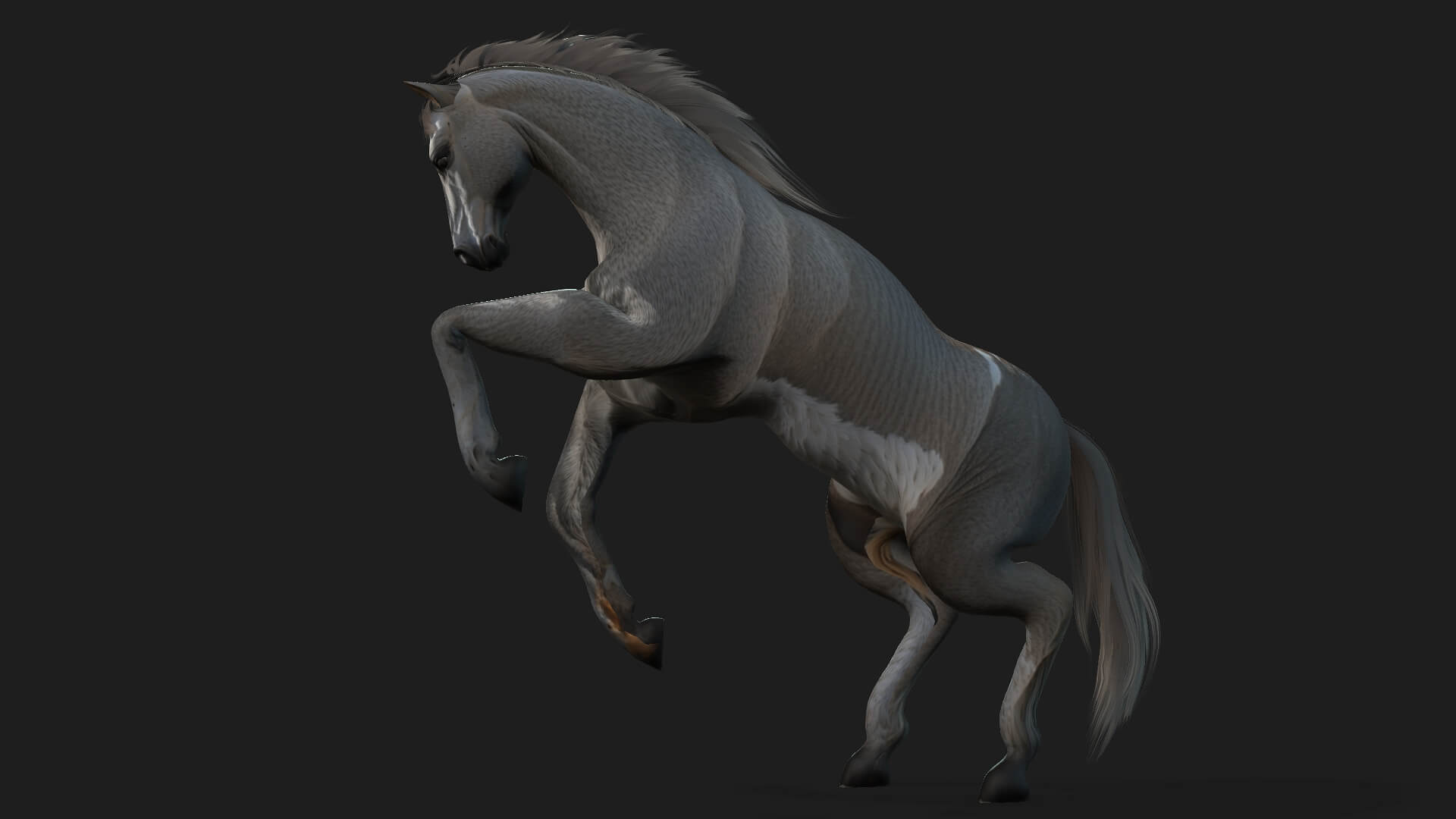 Horse A4 Animated - 3D Model by Animated3d