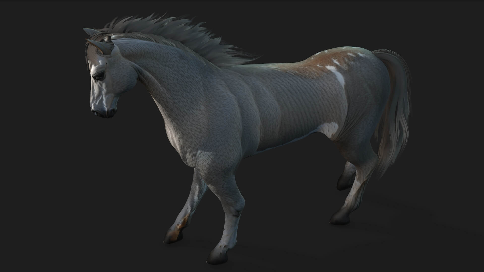 Horse A4 Animated - 3D Model by Animated3d