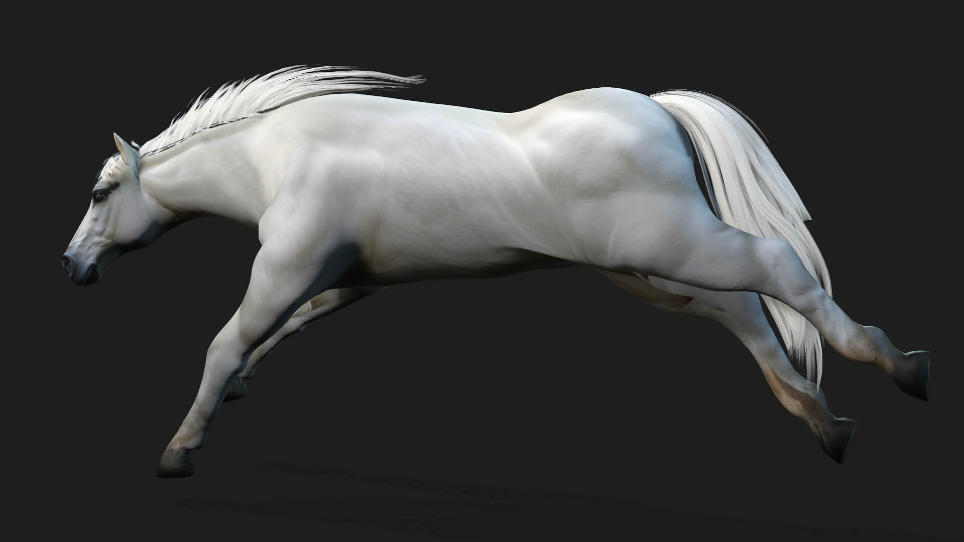 Horse A5 Animated - 3D Model by Animated3d
