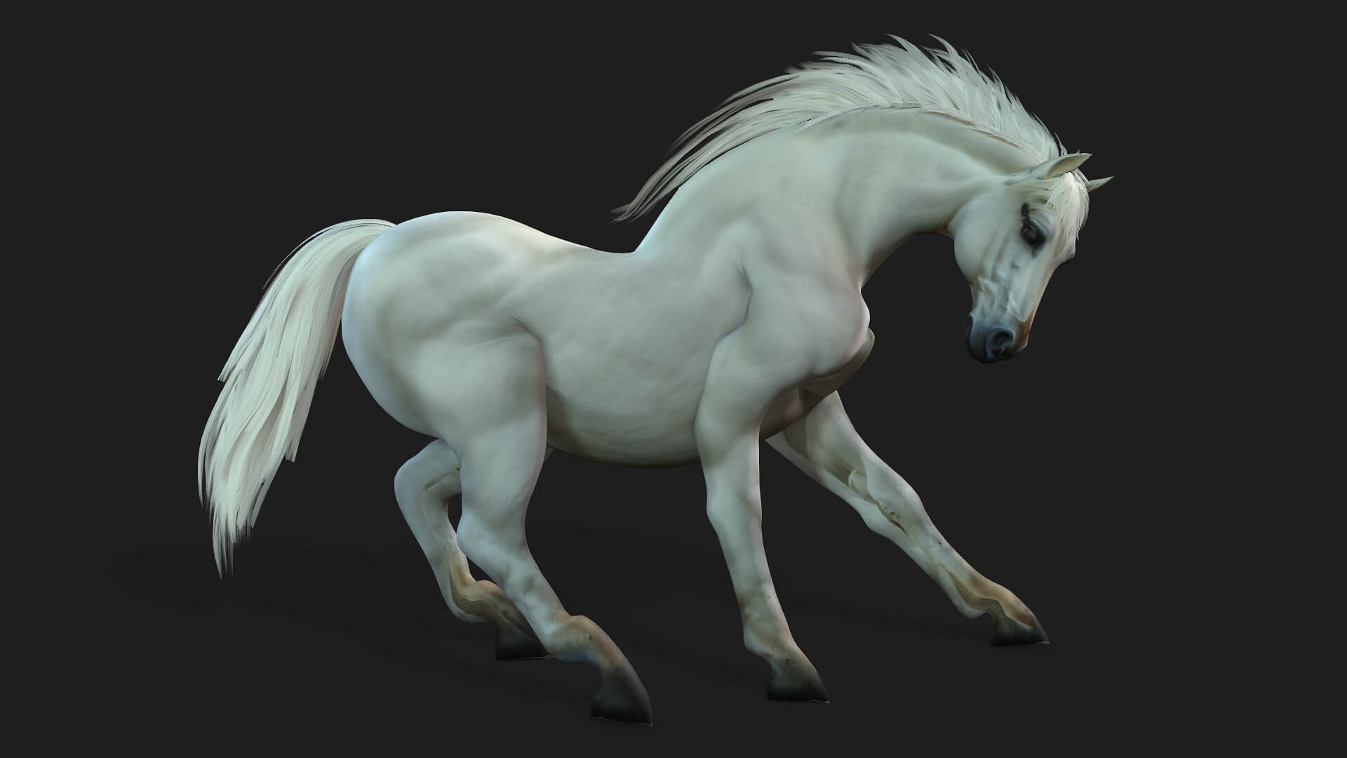 Horse A5 Animated - 3D Model by Animated3d