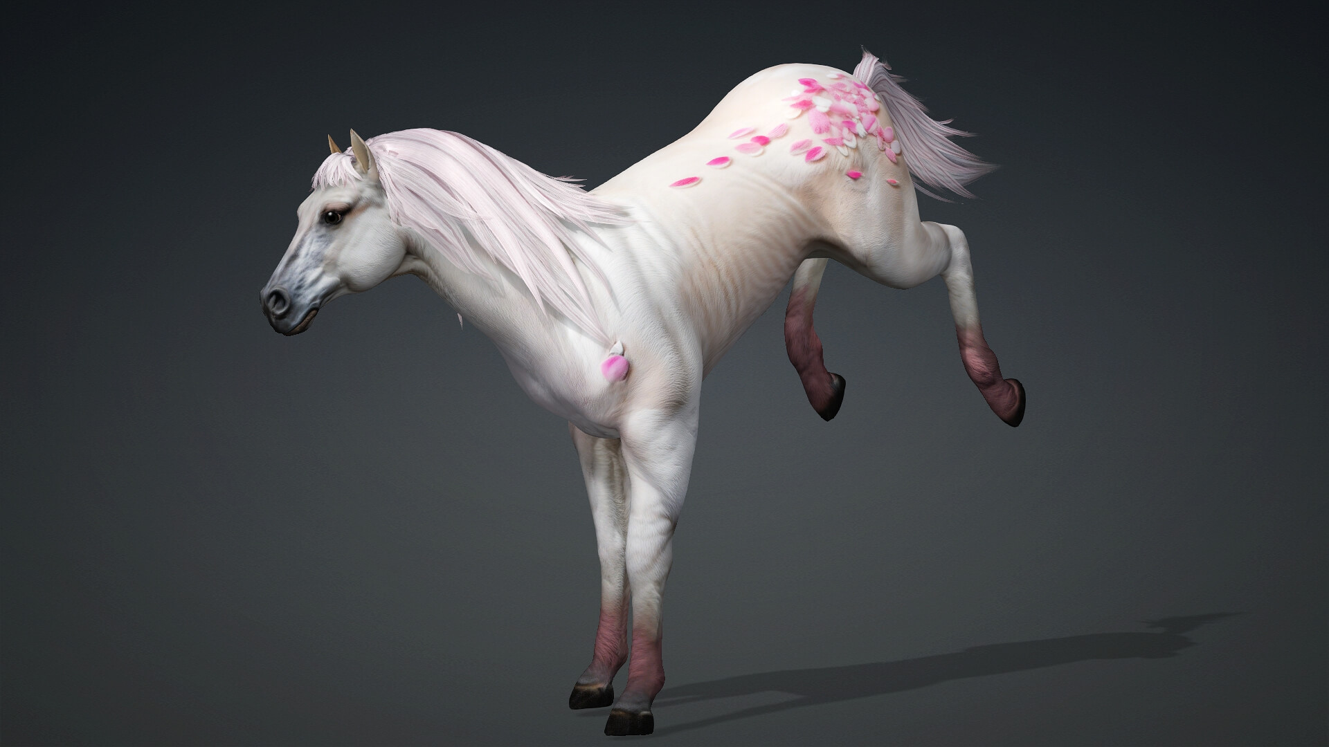 Horse B5 Animated - 3D Animation by Animated3d