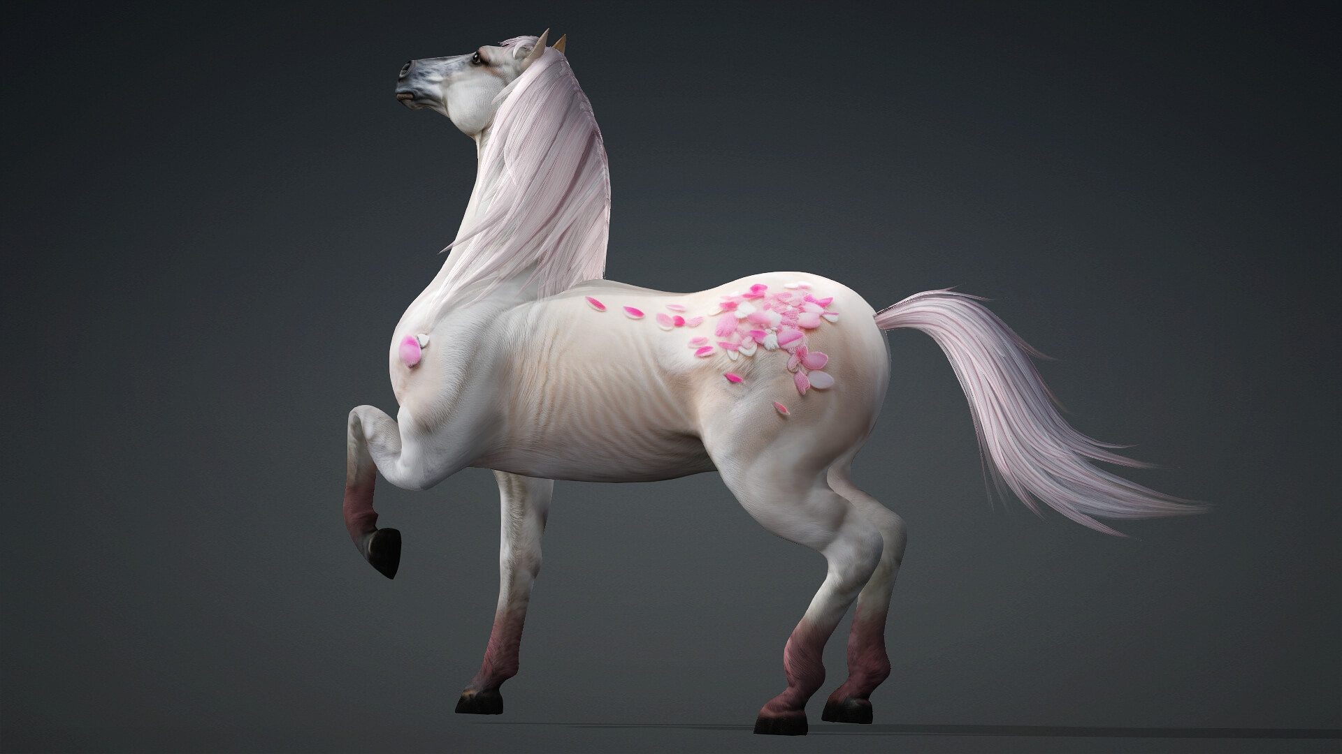Horse B5 Animated - 3D Animation by Animated3d