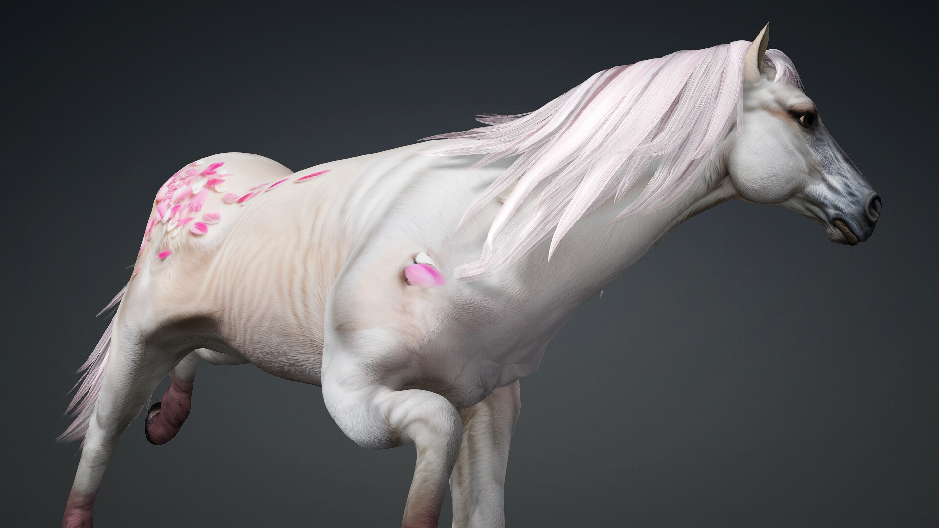 Horse B5 Animated - 3D Animation by Animated3d