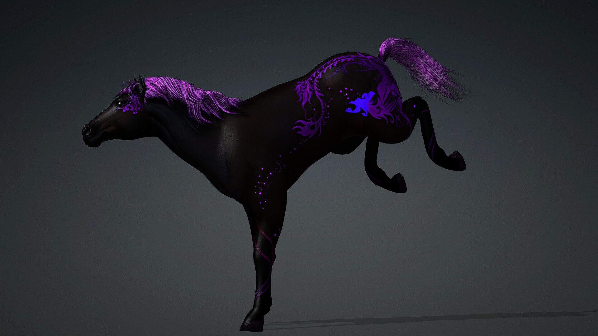 Horse-C2-Animated 3D Animation by Animated3d