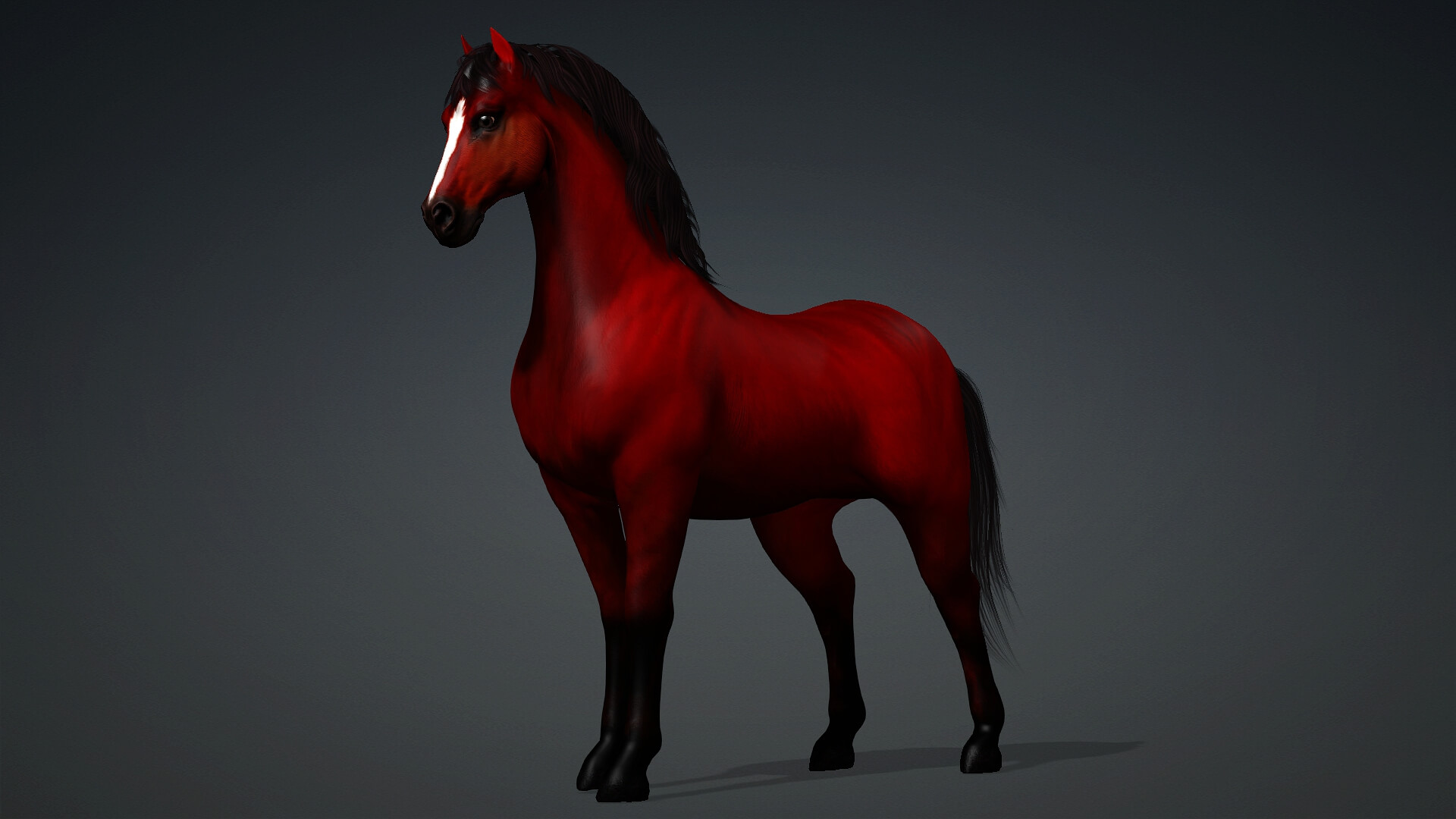 Horse-C4-Animated 3D Animation by Animated3d