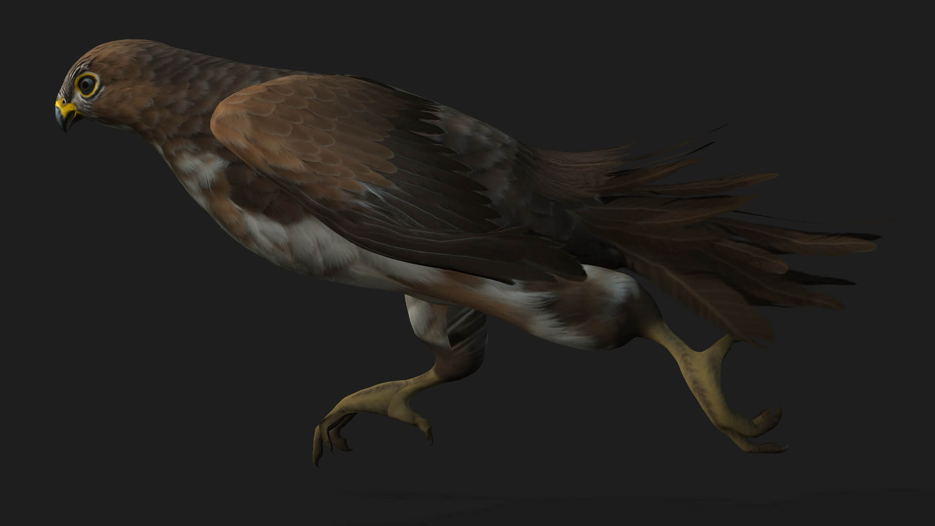 Kestrel B3 Animated - 3D Model by Animated3d
