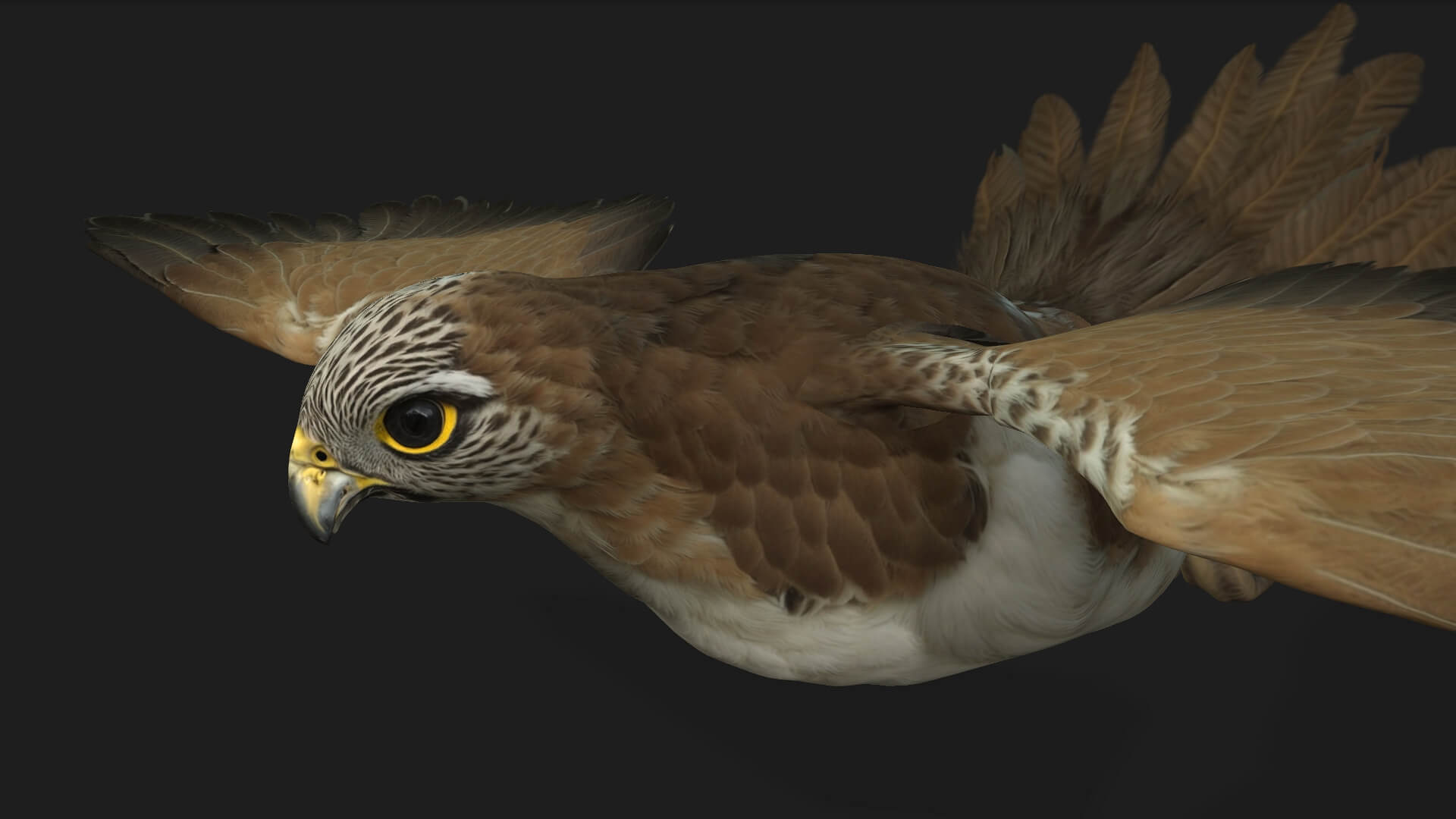 Kestrel B4 Animated - 3D Model by Animated3d