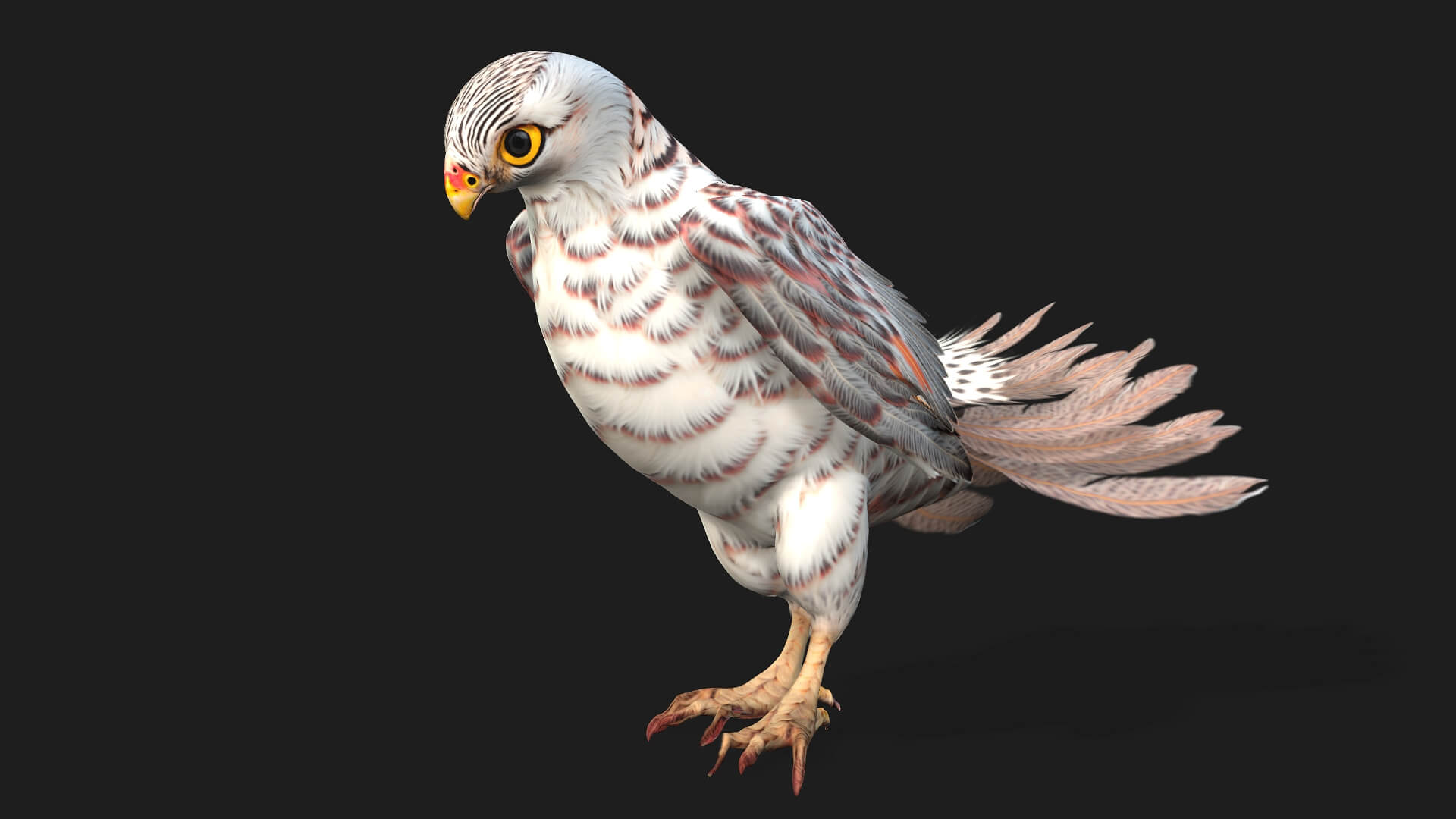 Kestrel B5 Animated - 3D Model by Animated3d