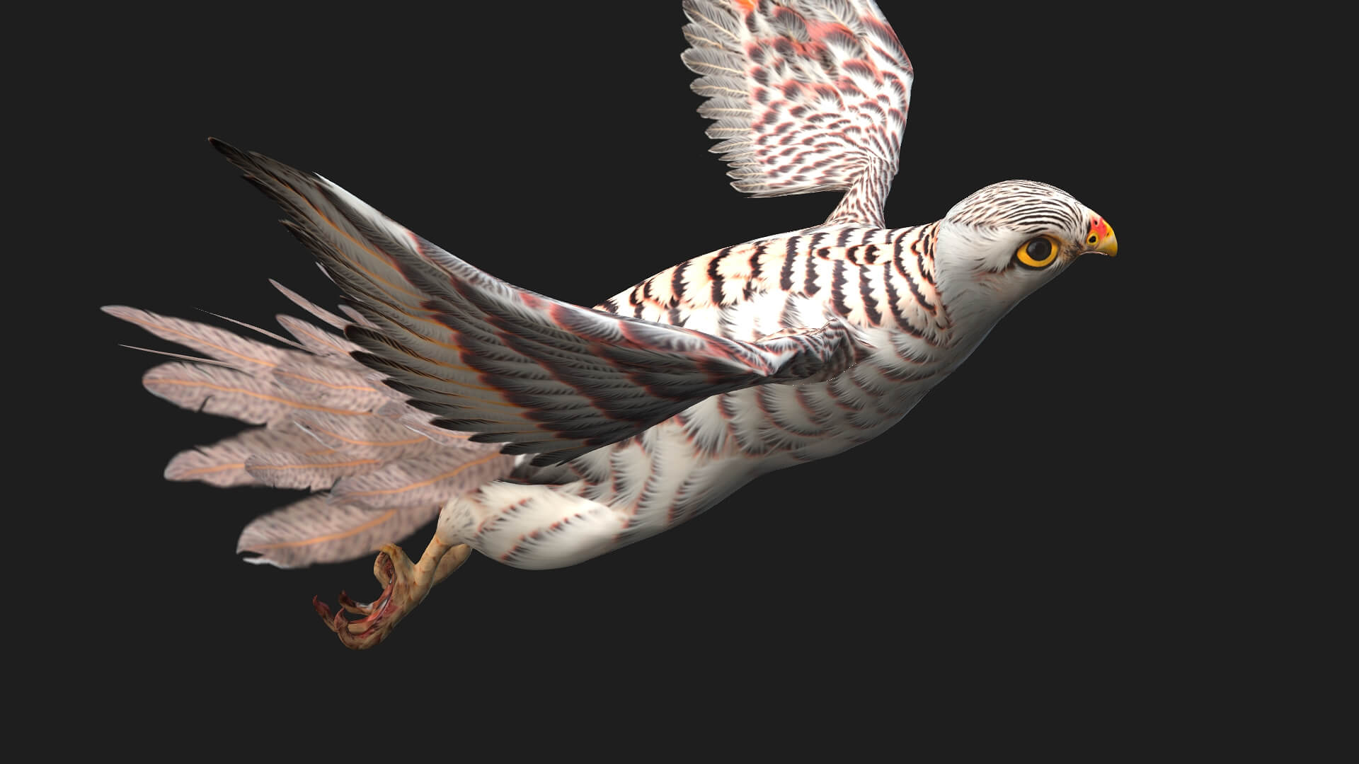Kestrel B5 Animated - 3D Model by Animated3d