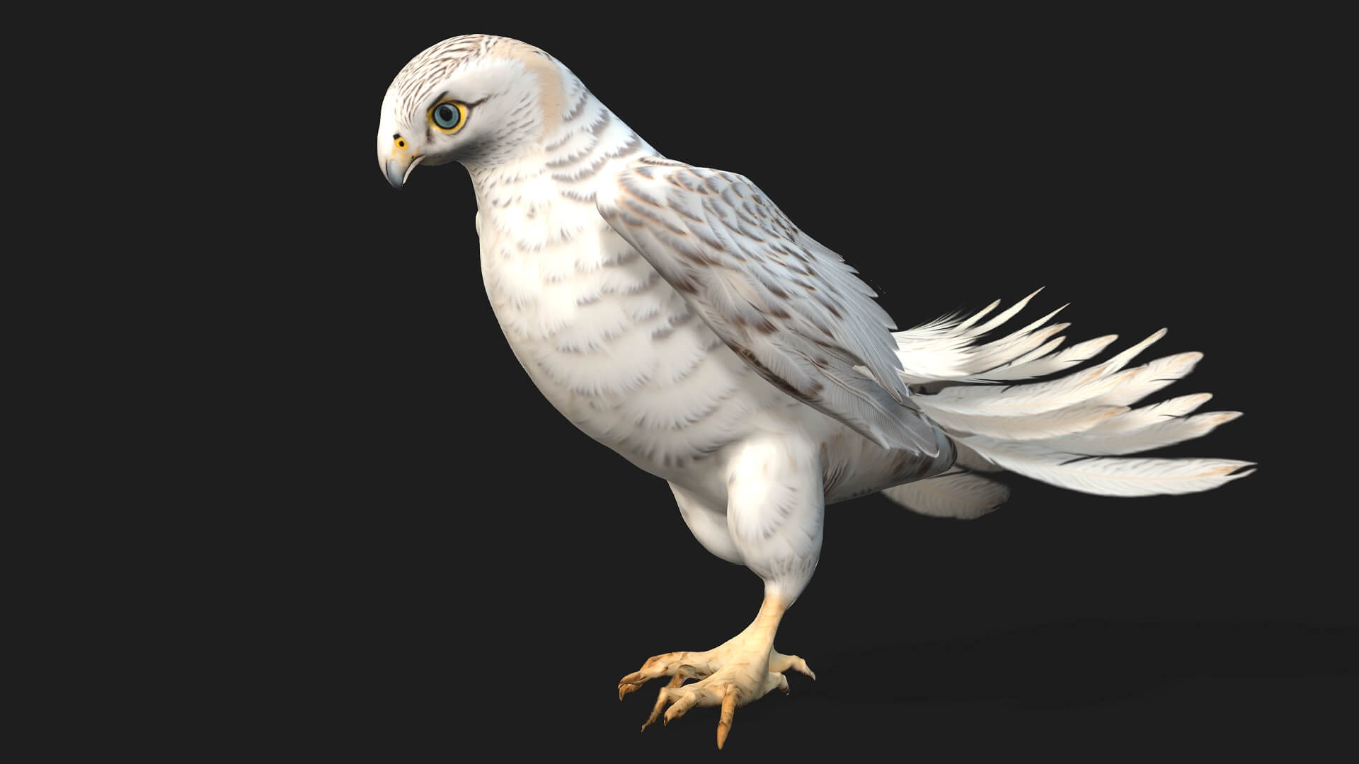 Kestrel B6 Animated - 3D Model by Animated3d
