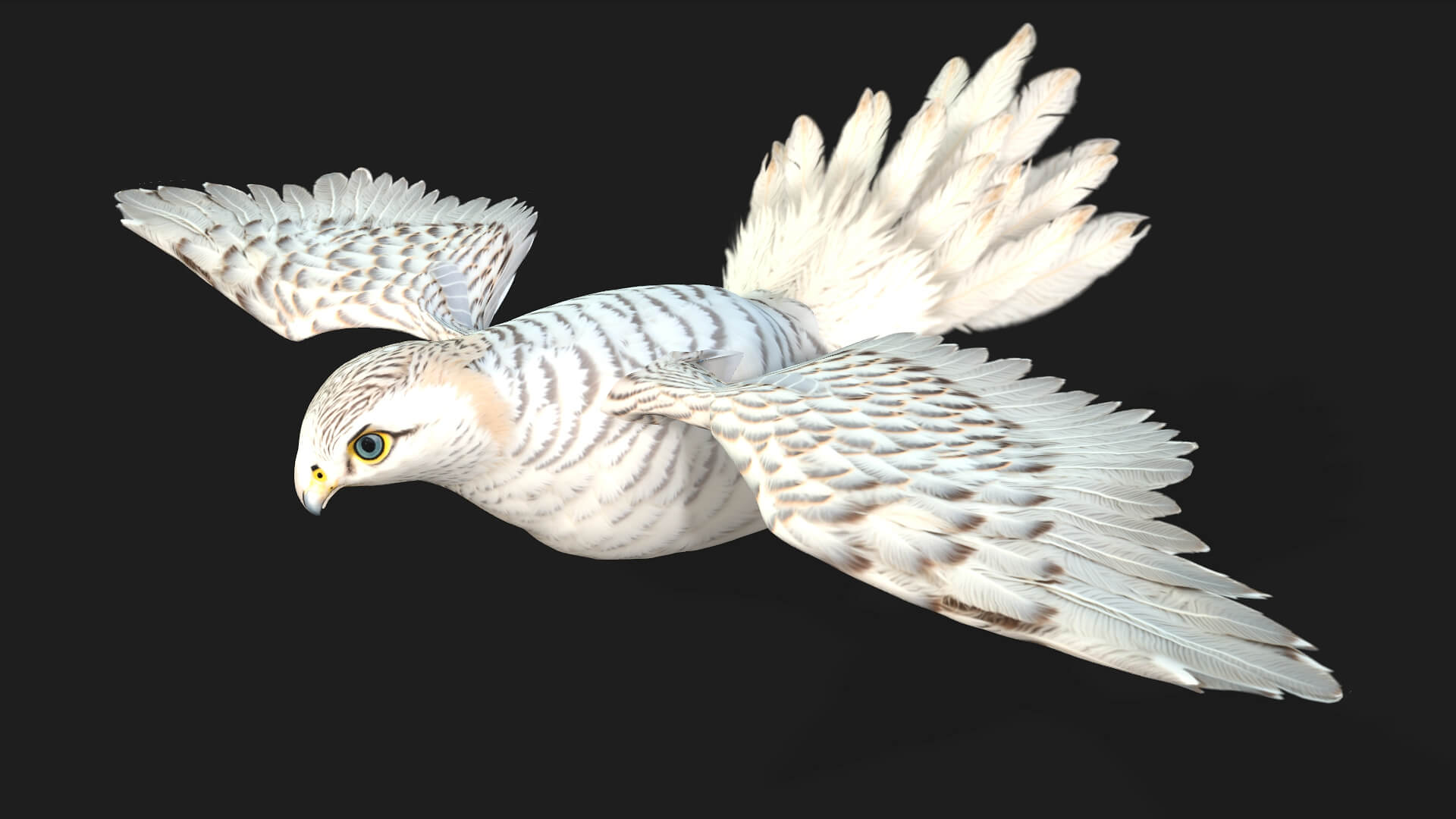 Kestrel B6 Animated - 3D Model by Animated3d