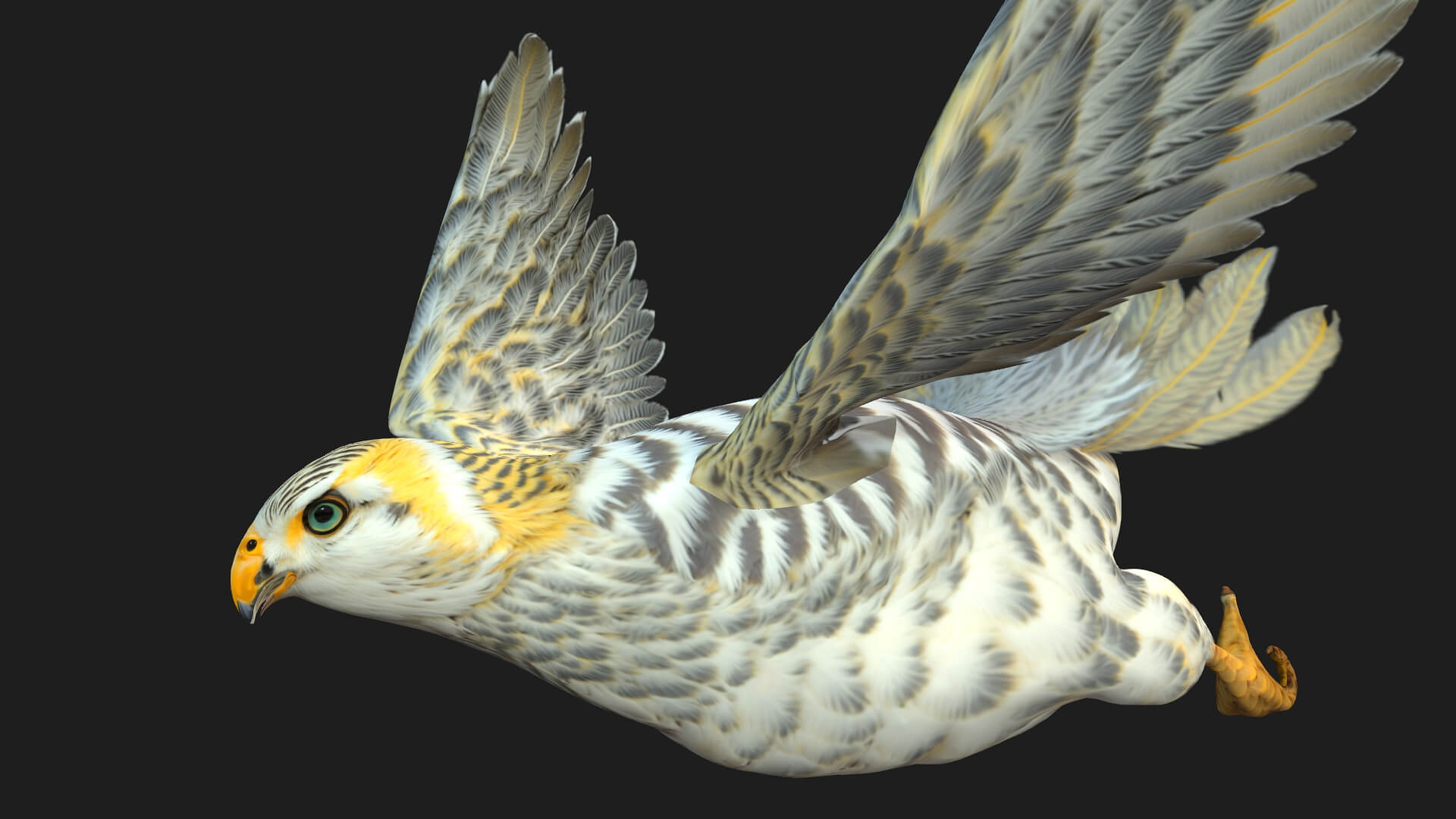 Kestrel B7 Animated - 3D Model by Animated3d