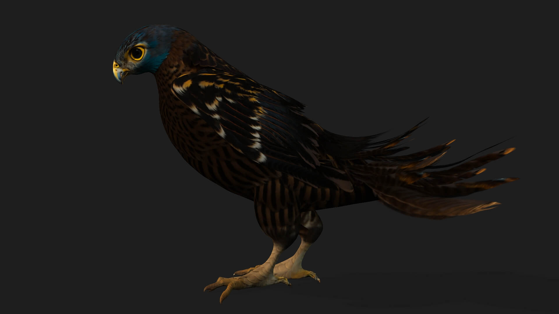 Kestrel B8 Animated - 3D Model by Animated3d
