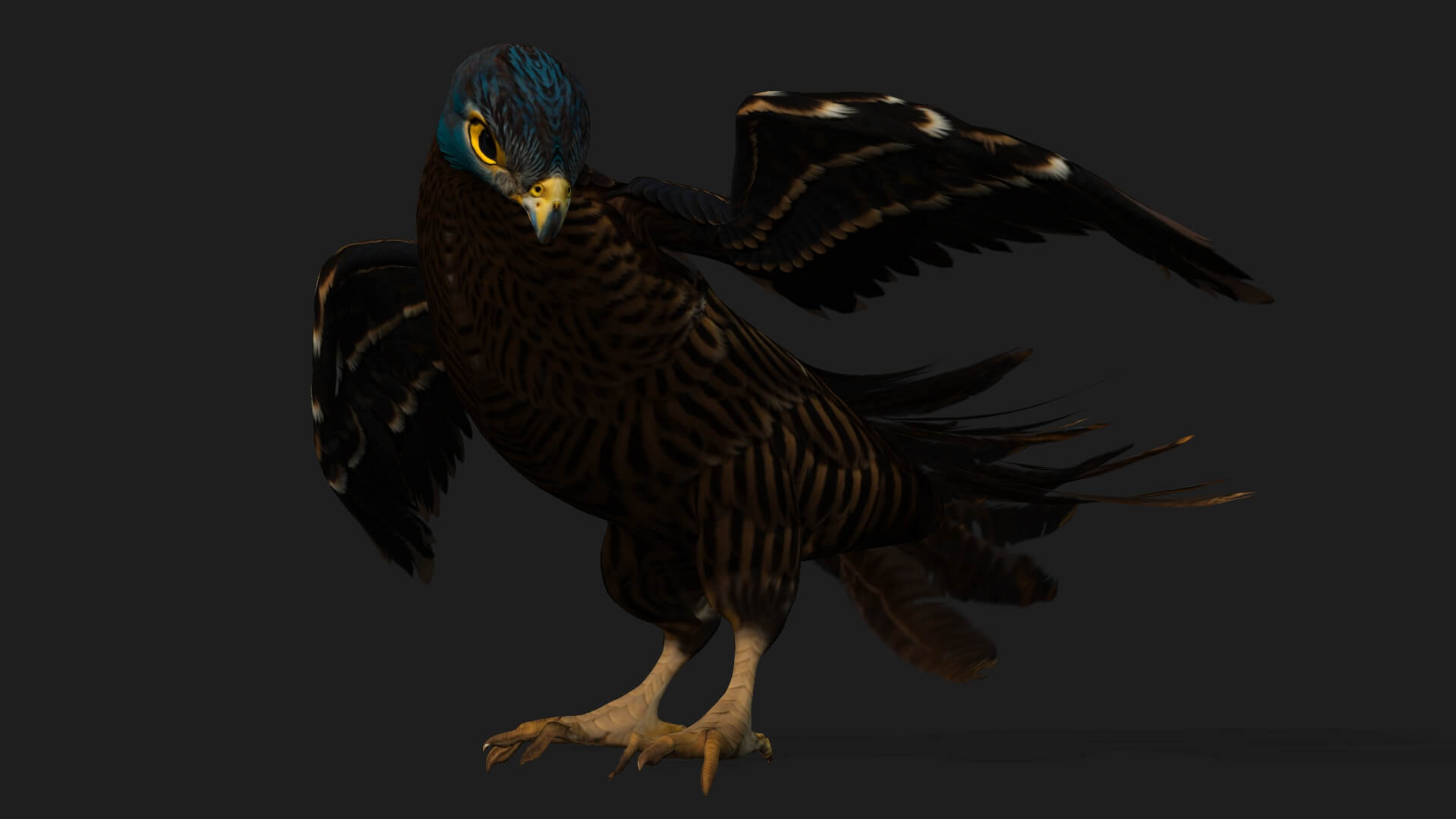 Kestrel B8 Animated - 3D Model by Animated3d