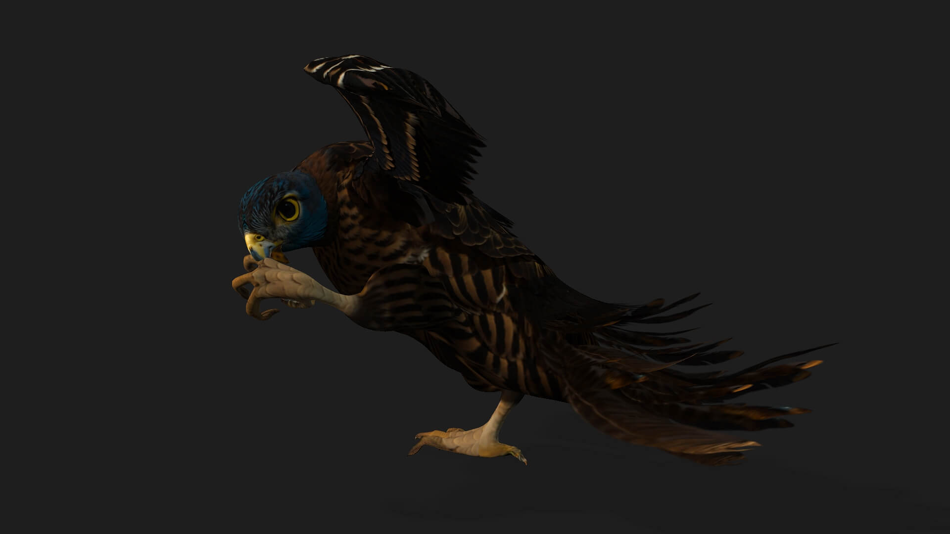 Kestrel B8 Animated - 3D Model by Animated3d
