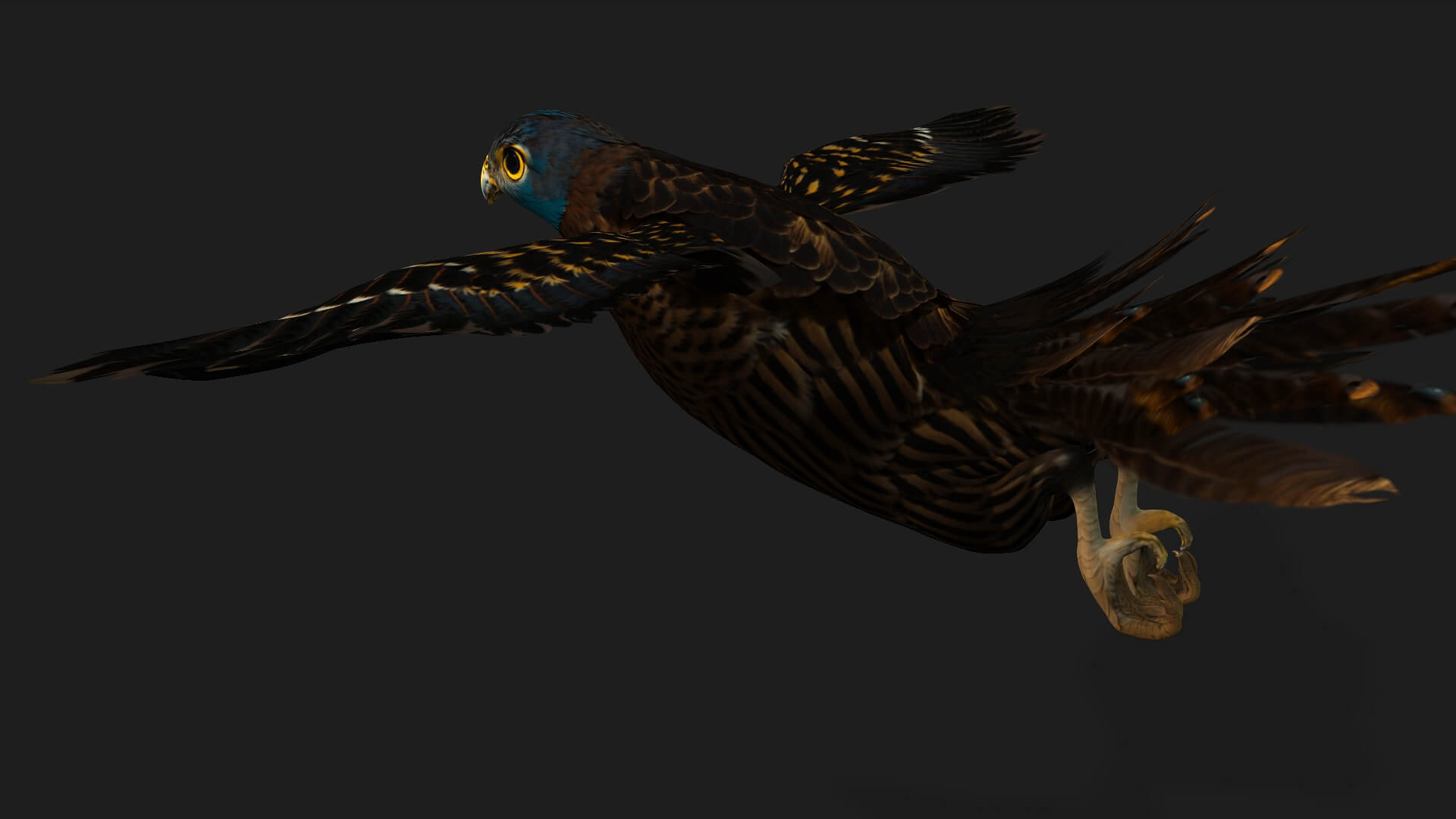 Kestrel B8 Animated - 3D Model by Animated3d