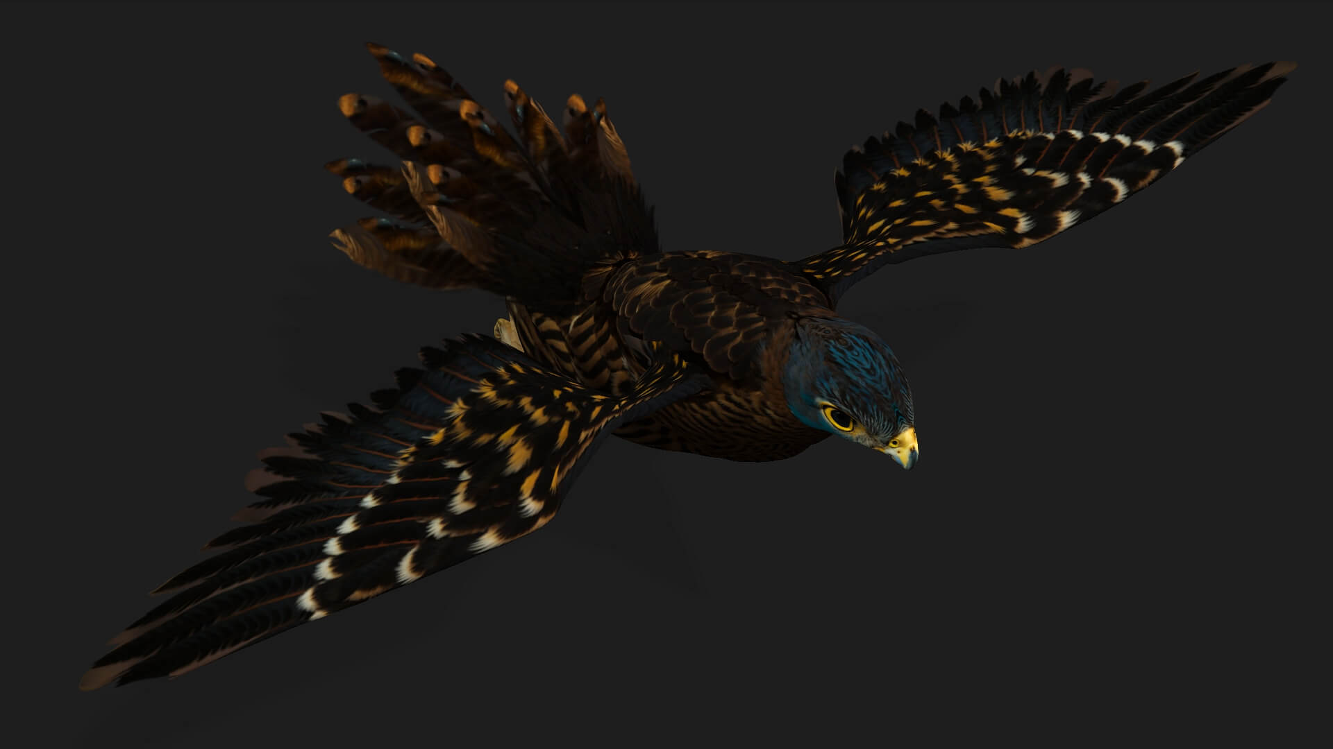Kestrel B8 Animated - 3D Model by Animated3d