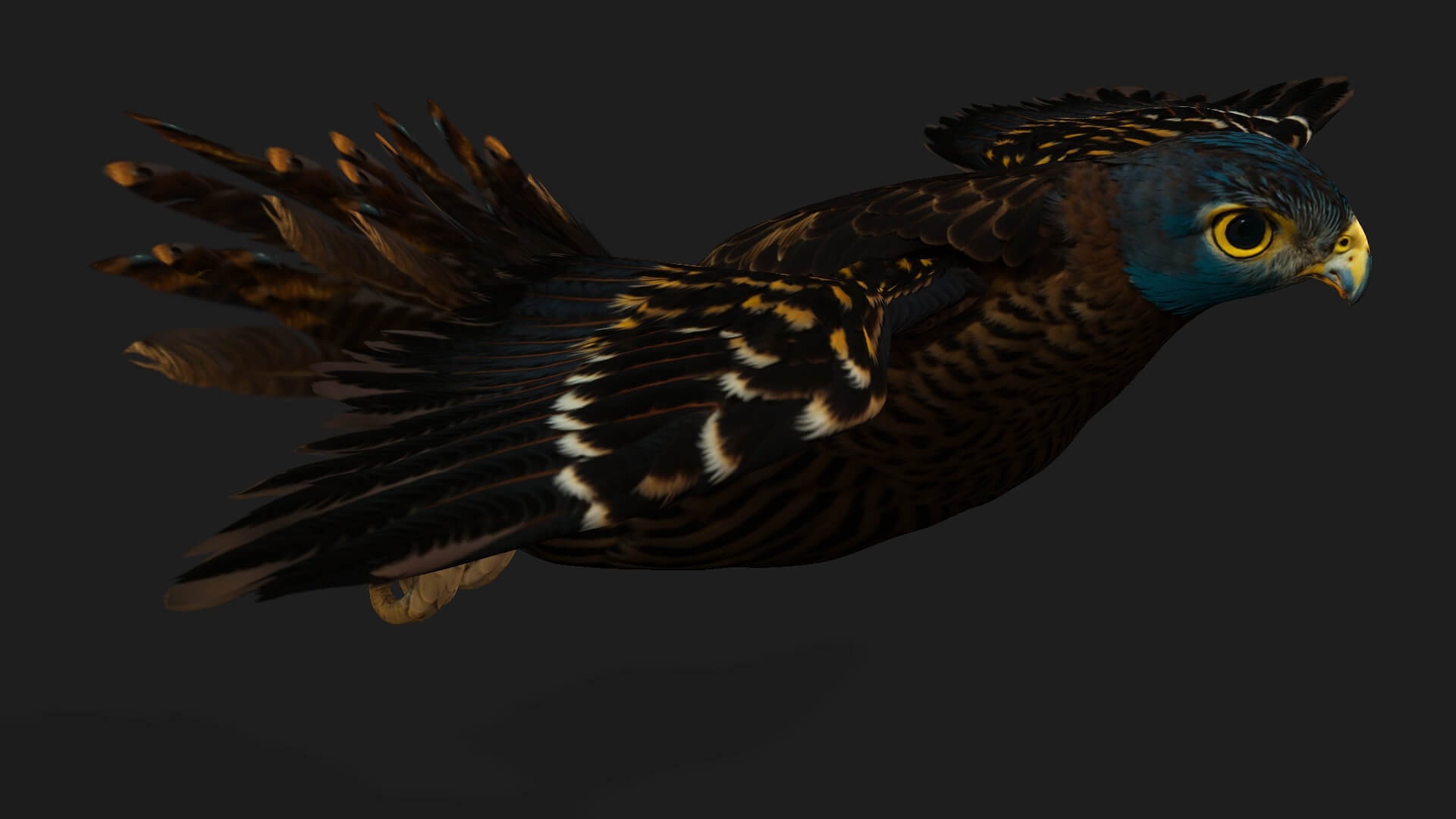 Kestrel B8 Animated - 3D Model by Animated3d