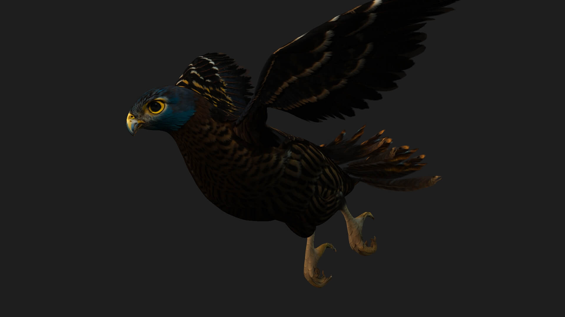 Kestrel B8 Animated - 3D Model by Animated3d