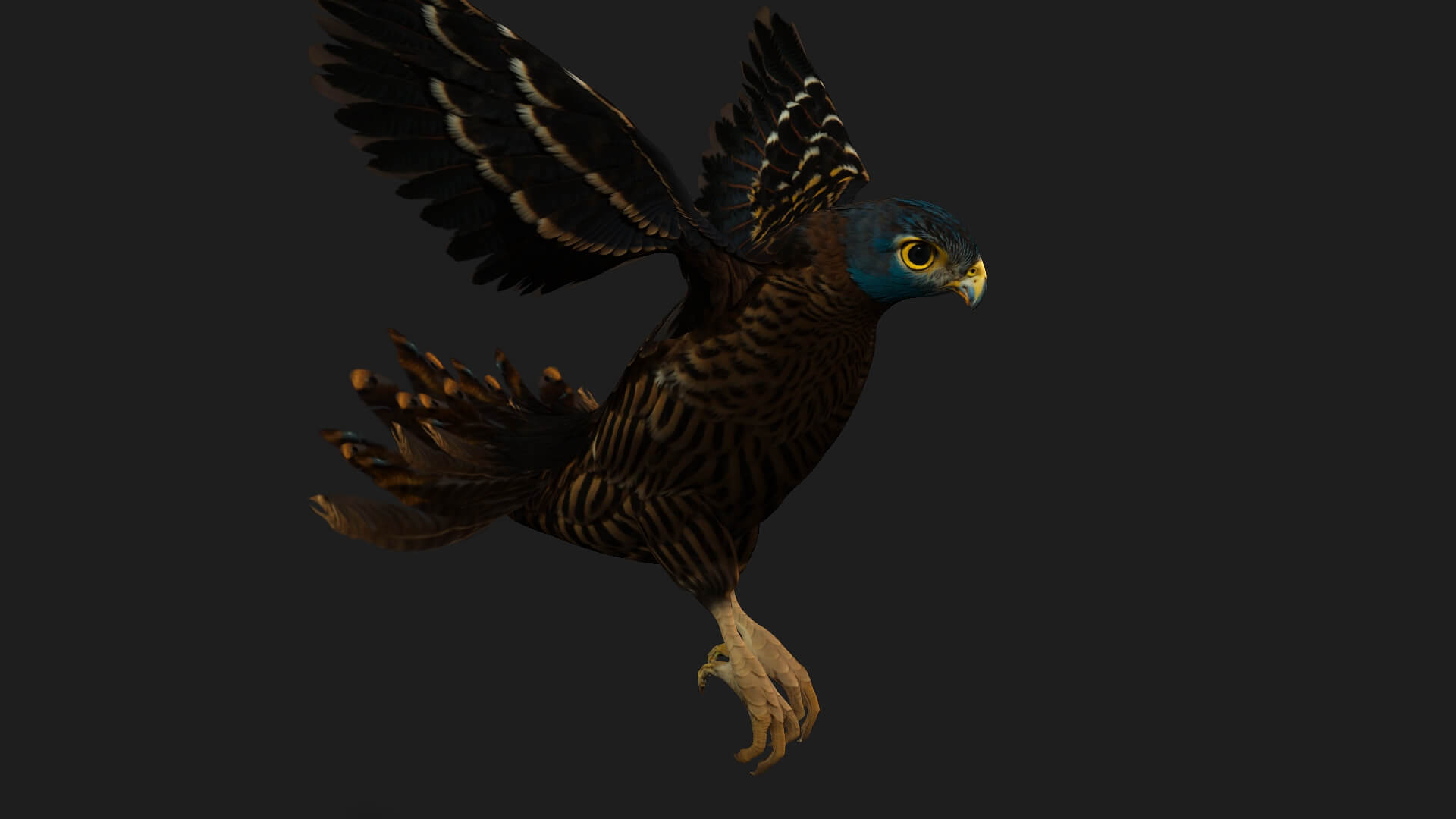 Kestrel B8 Animated - 3D Model by Animated3d
