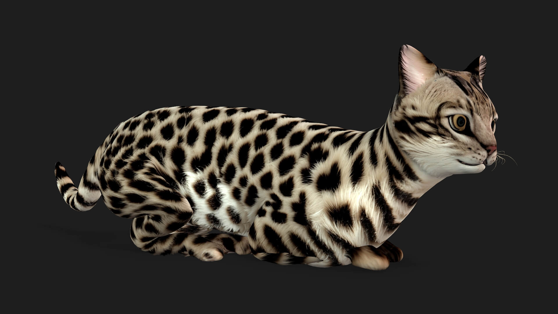 Leopardcat A2 - 3D Model by Animated3d