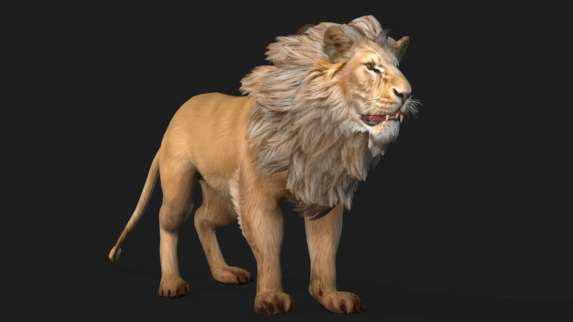 Lion-A1-Animated 3D Animation by Animated3d