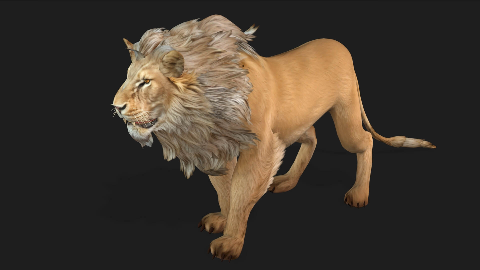 Lion-A1-Animated 3D Animation by Animated3d