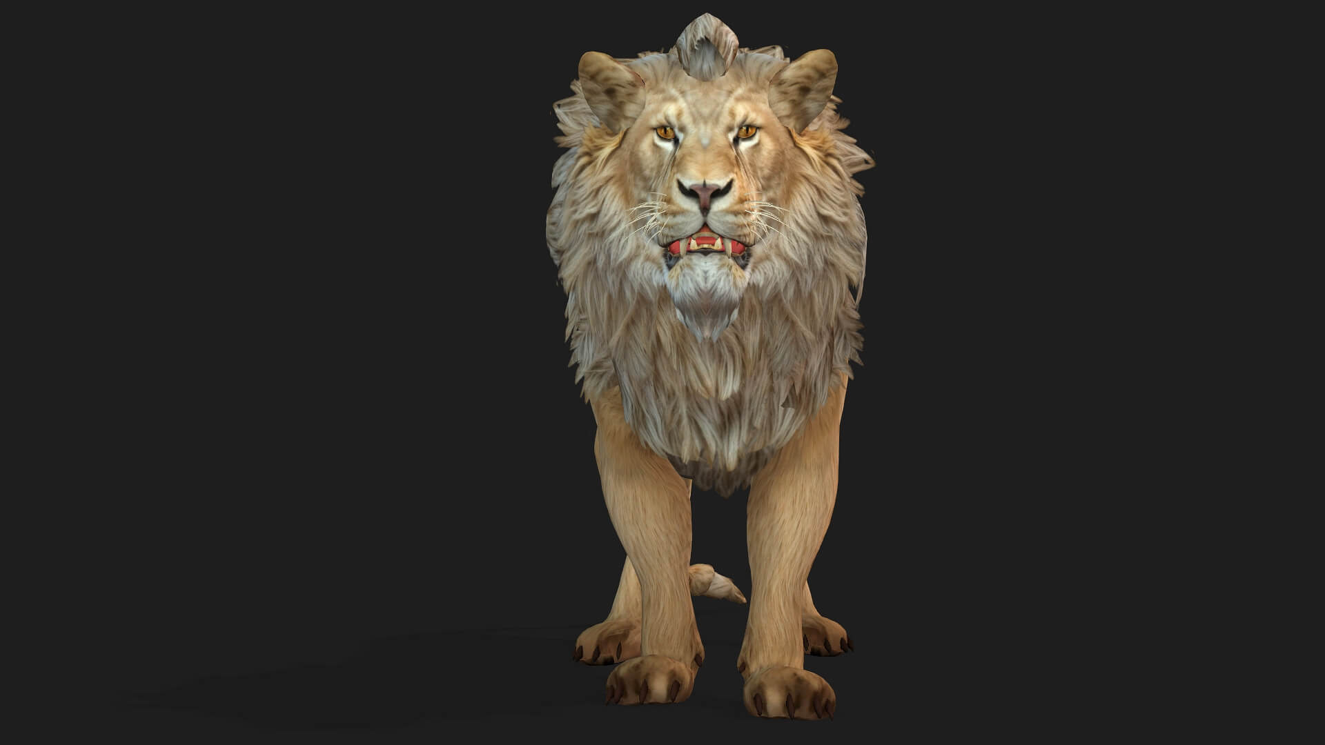 Lion-A1-Animated 3D Animation by Animated3d