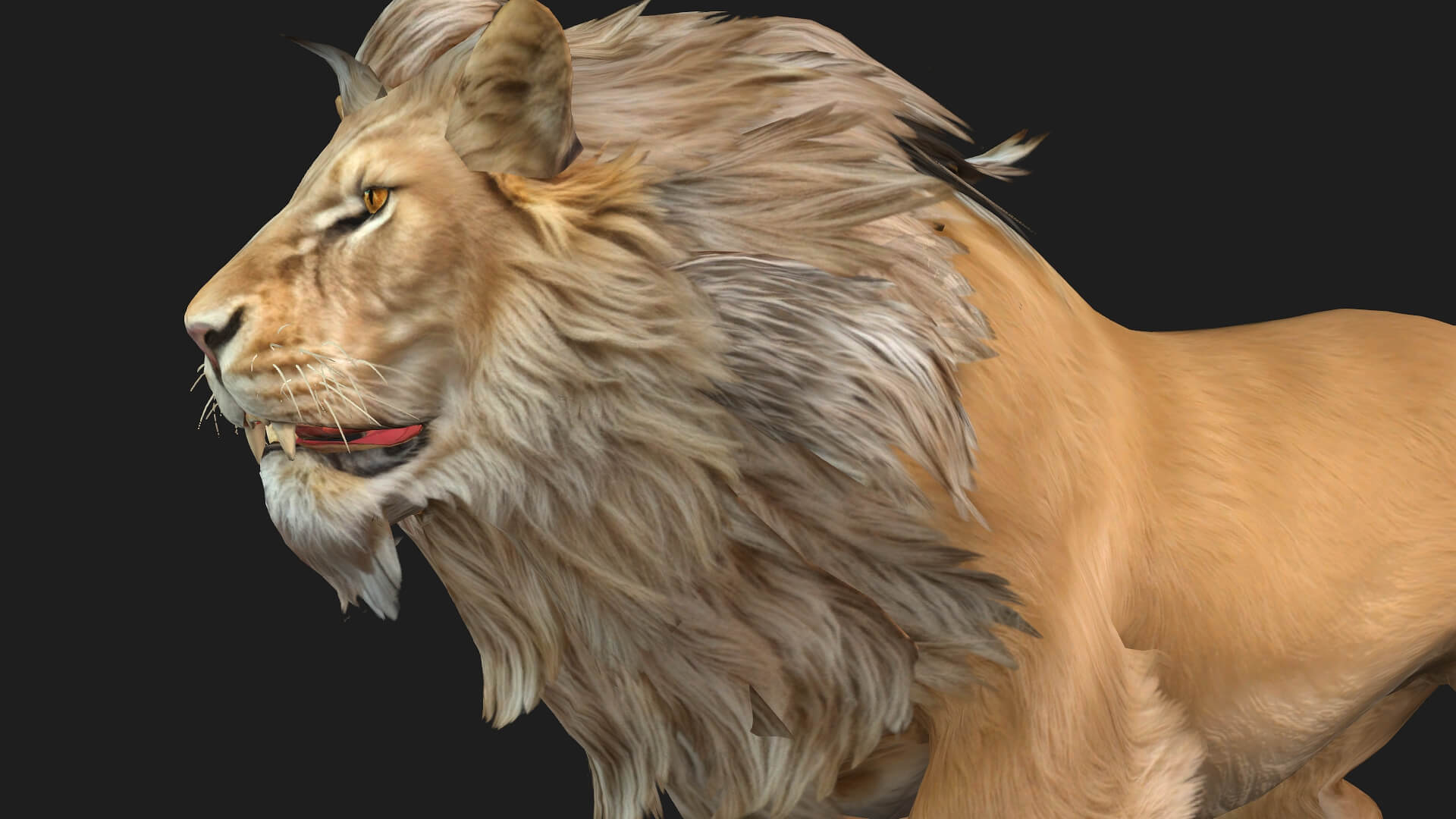 Lion-A1-Animated 3D Animation by Animated3d