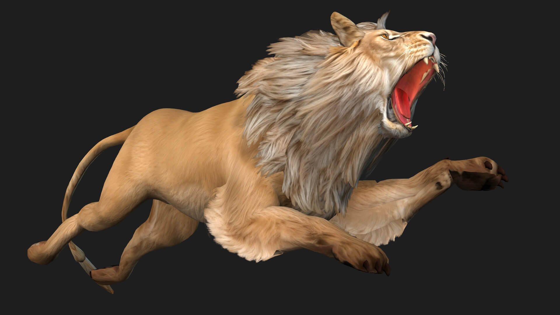 Lion-A1-Animated 3D Animation by Animated3d