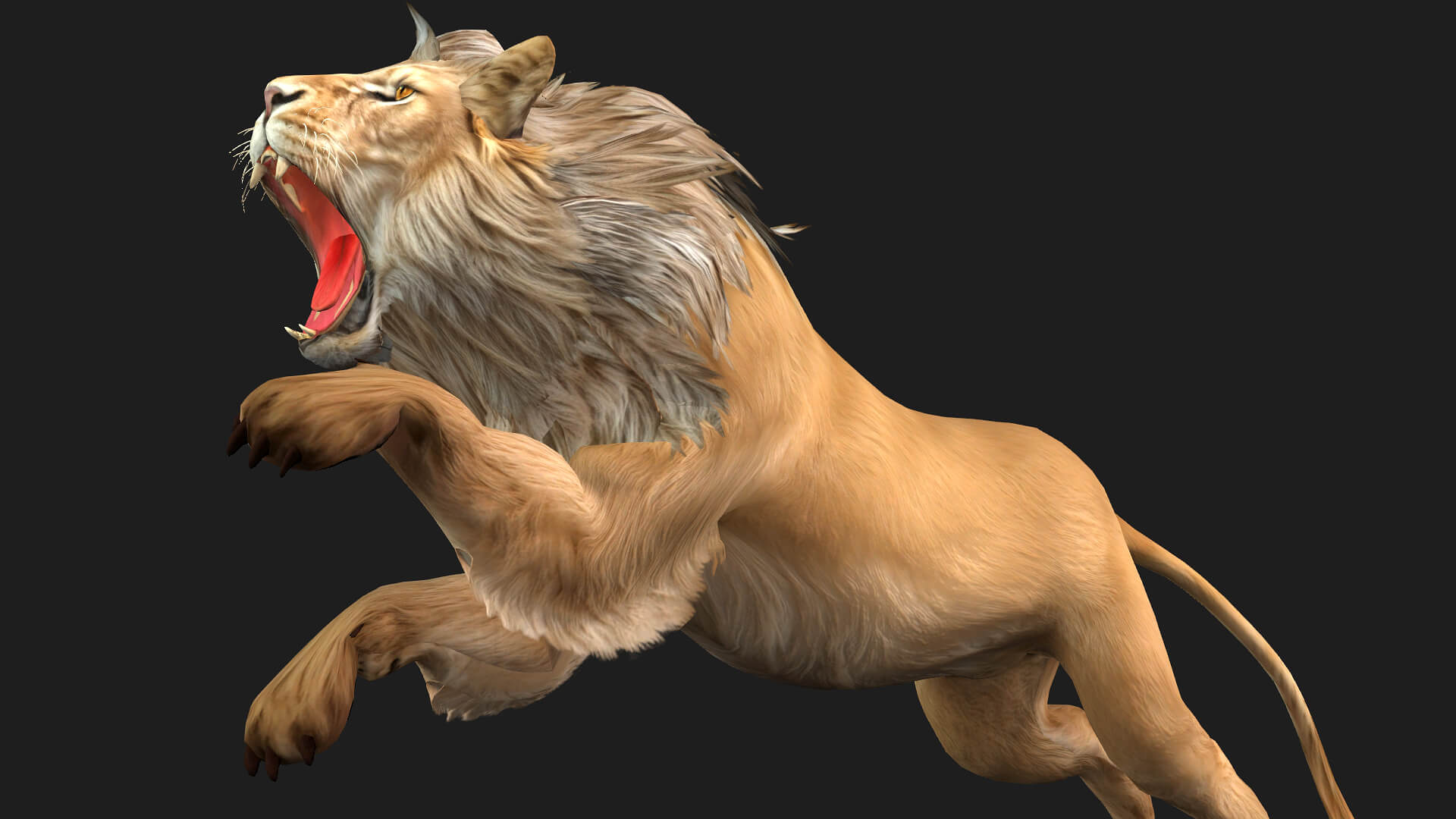 Lion-A1-Animated 3D Animation by Animated3d