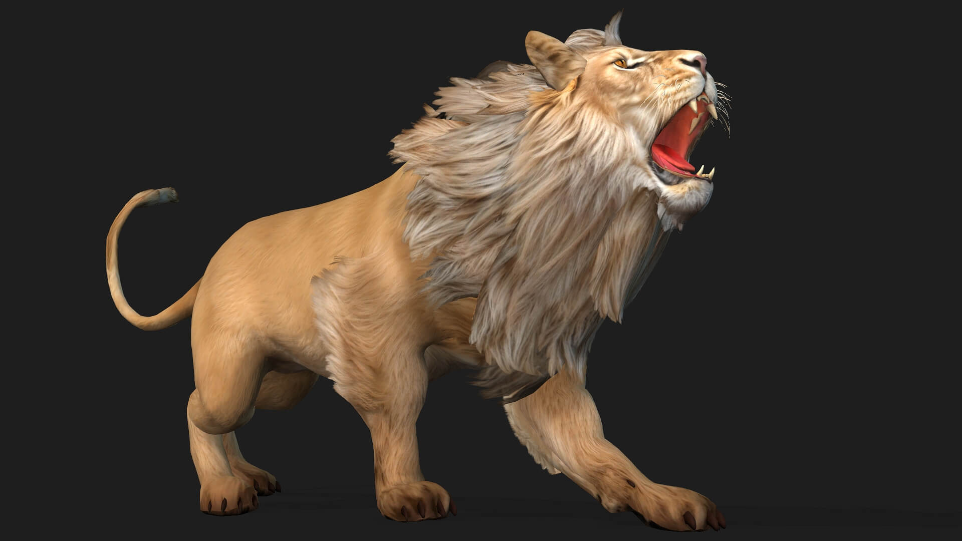 Lion-A1-Animated 3D Animation by Animated3d