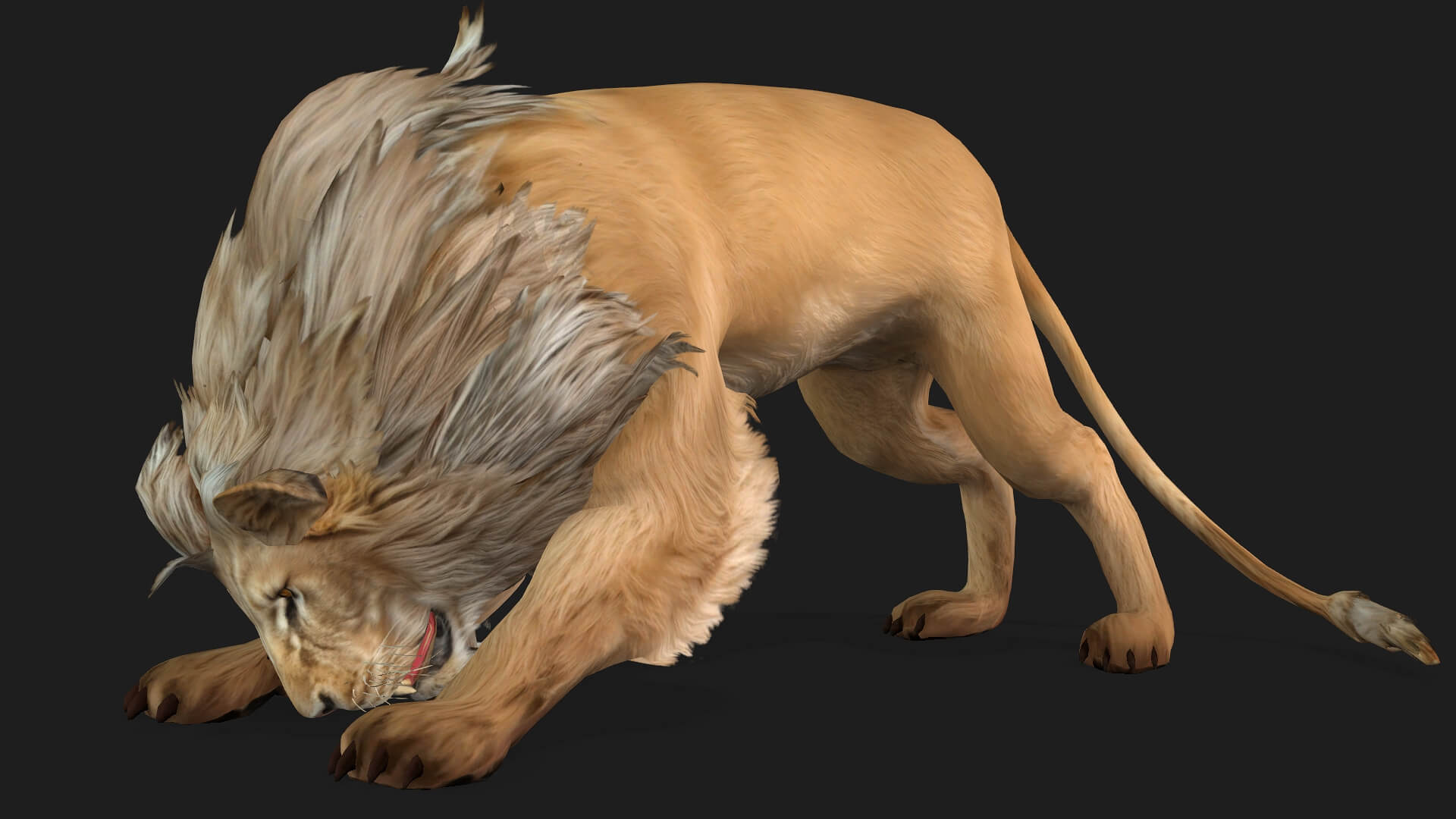 Lion-A1-Animated 3D Animation by Animated3d