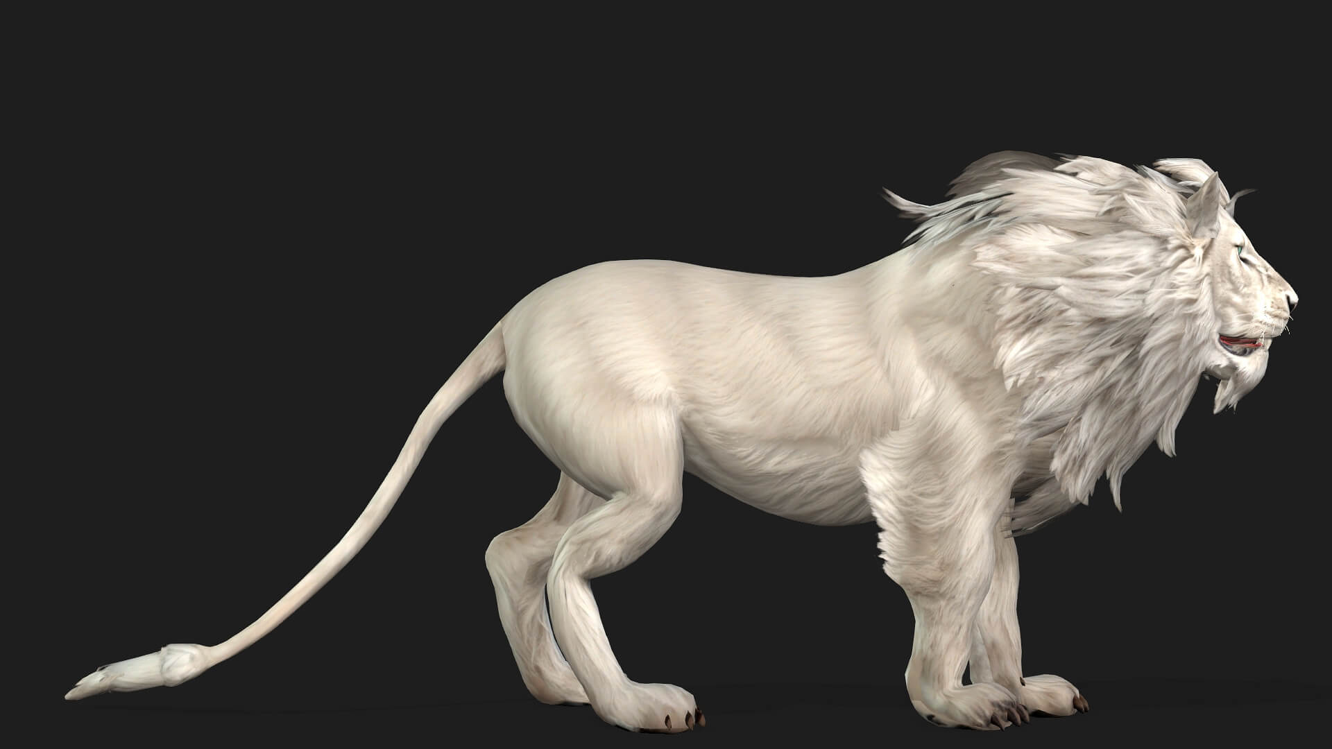 Lion-A2-Animated 3D Animation by Animated3d