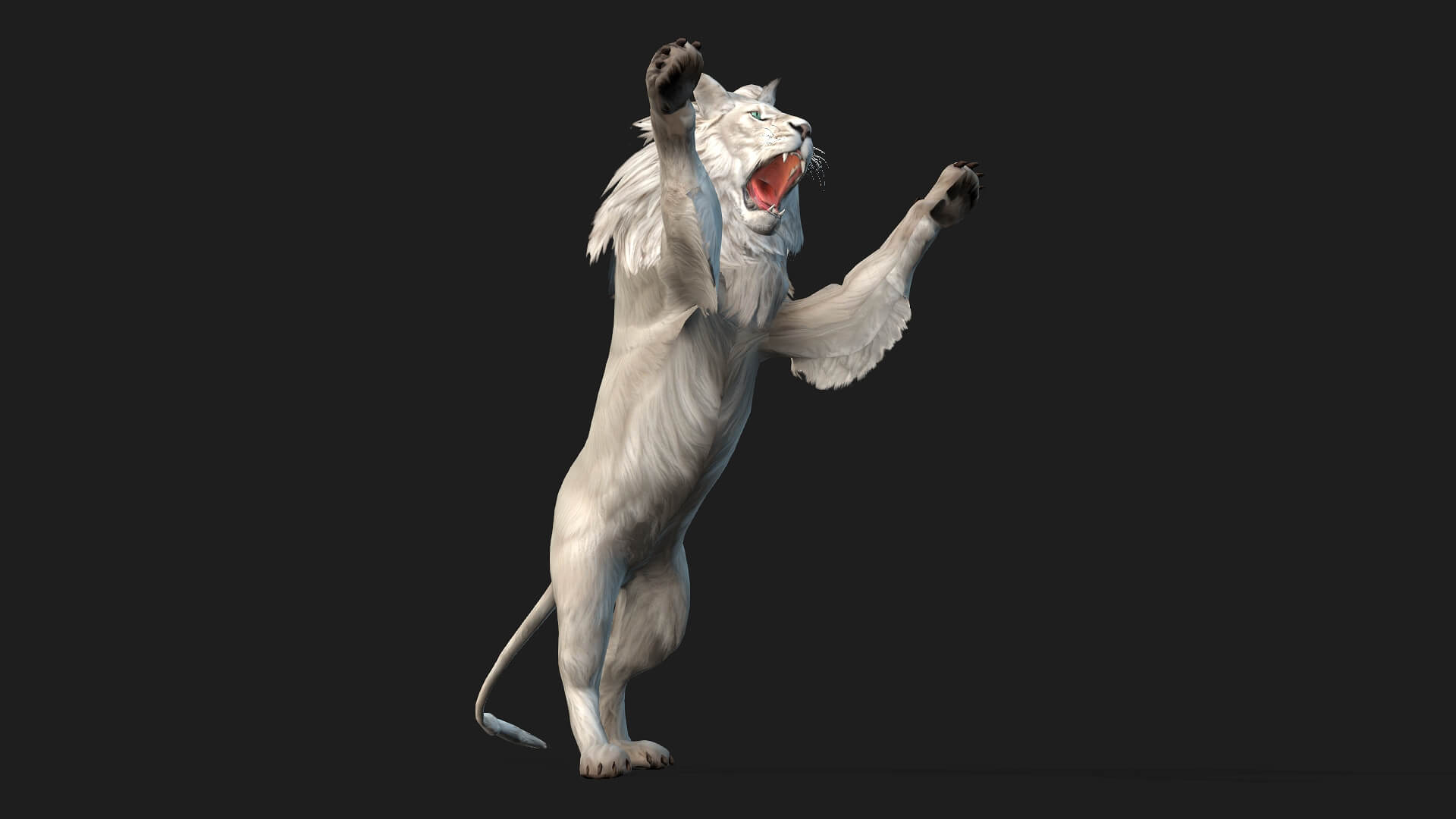 Lion-A2-Animated 3D Animation by Animated3d