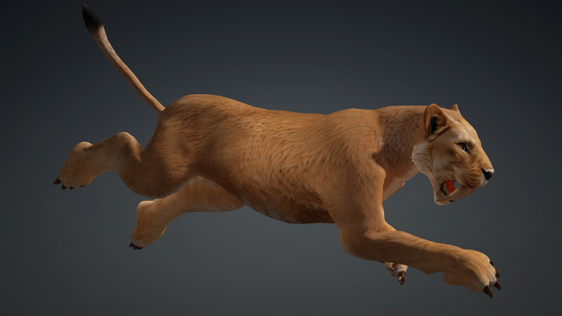 Lion-B1-Animated 3D Animation by Animated3d