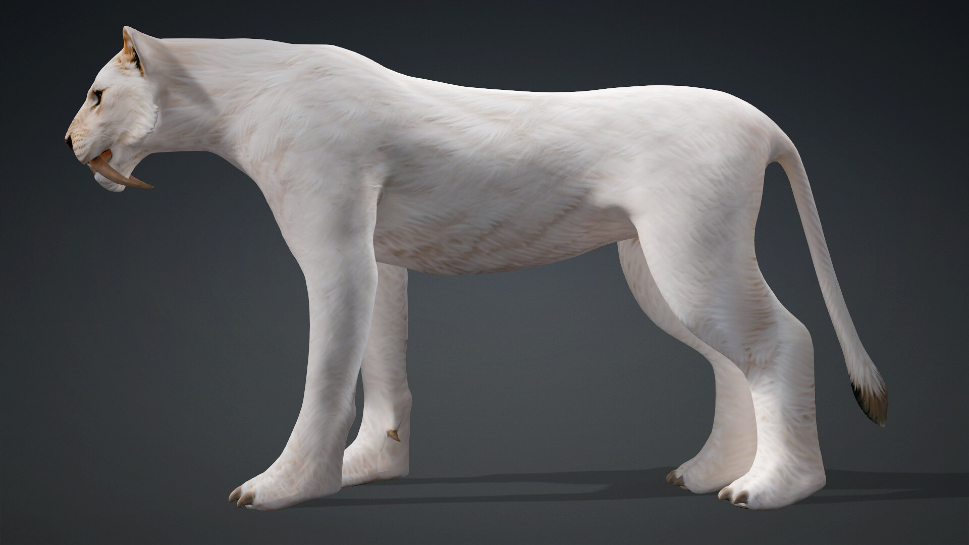 Lion-B2-Animated 3D Animation by Animated3d
