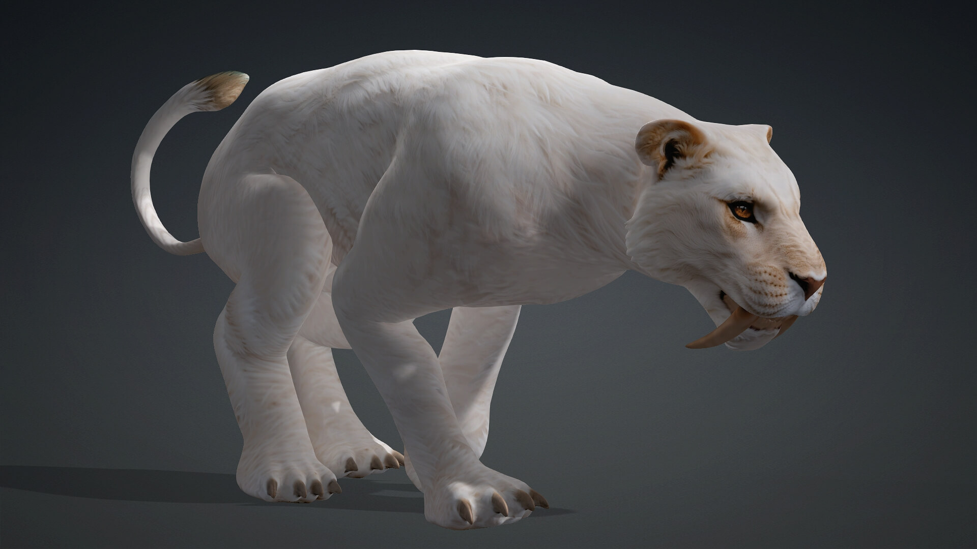 Lion-B2-Animated 3D Animation by Animated3d