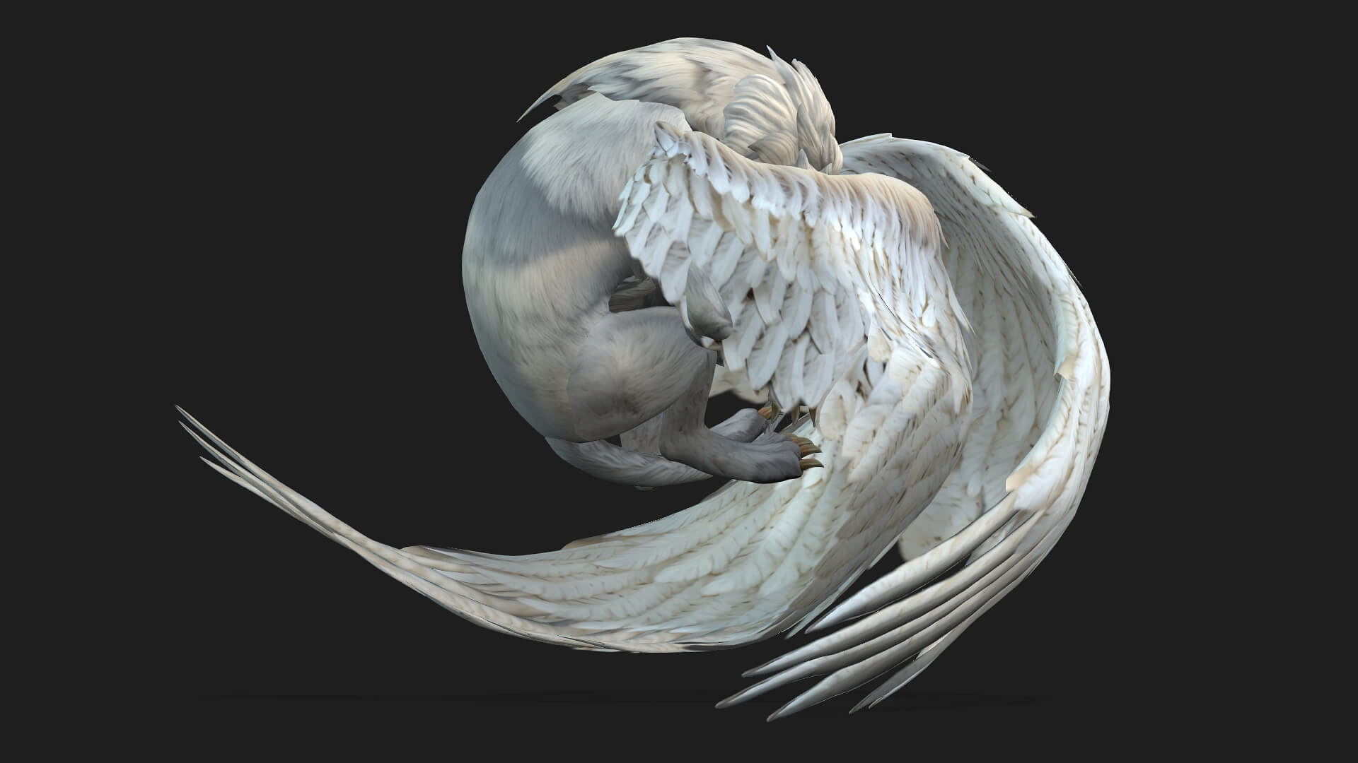 Lion Gryphus A1 - 3D Model by Animated3d