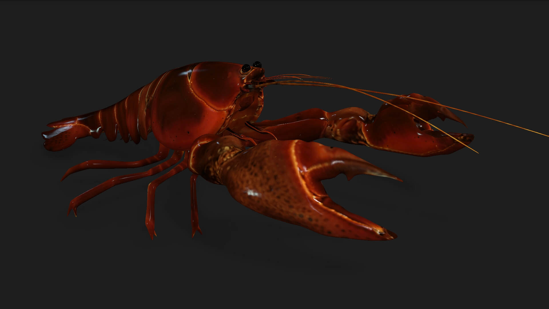 Lobster-A1-Animated 3D Model by Animated3d