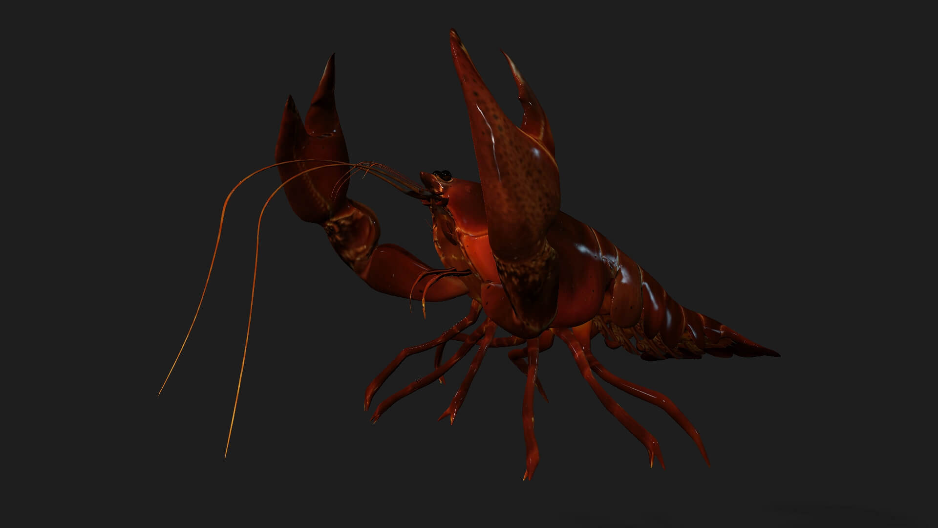 Lobster-A1-Animated 3D Model by Animated3d