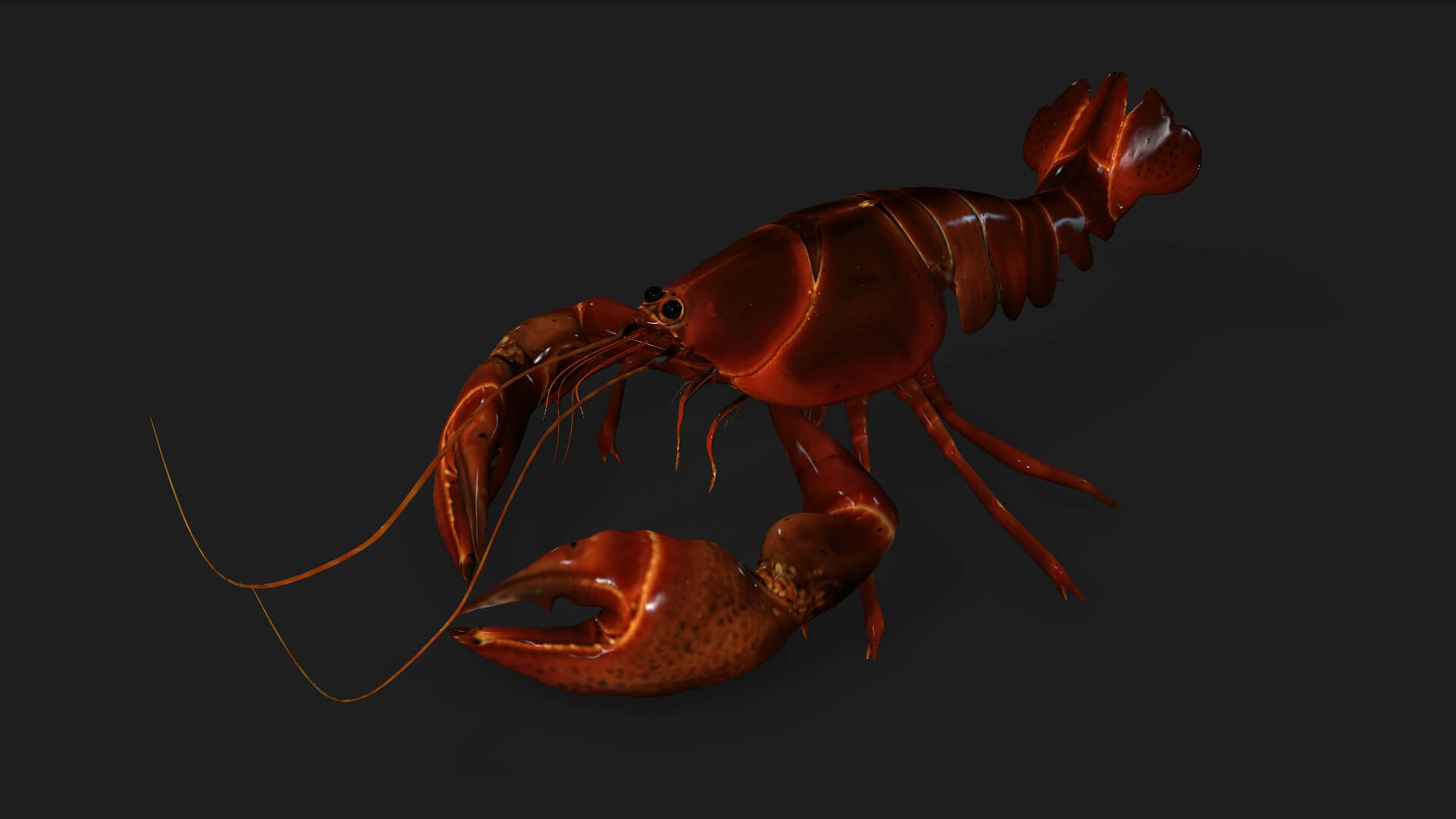 Lobster-A1-Animated 3D Model by Animated3d