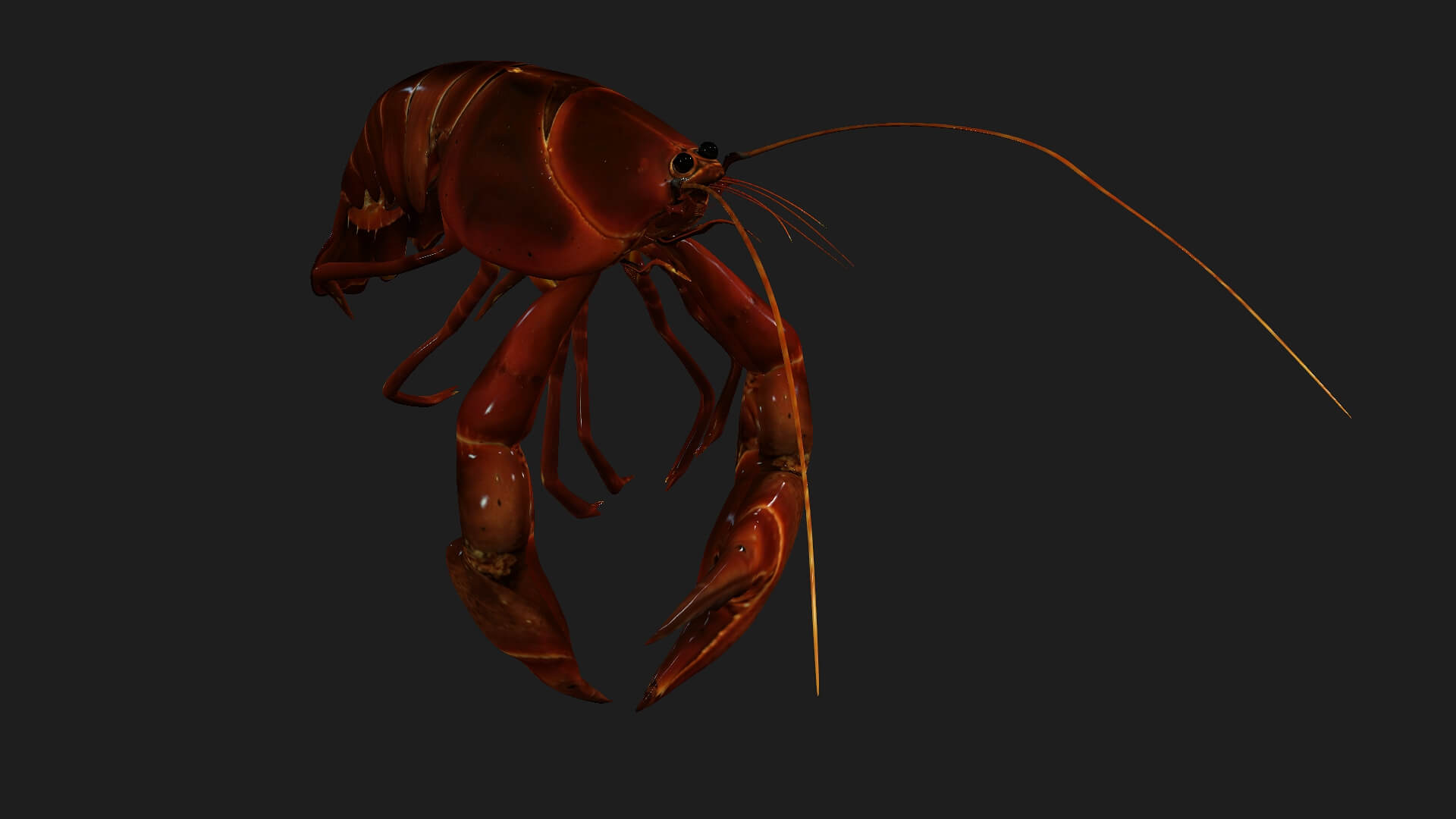 Lobster-A1-Animated 3D Model by Animated3d