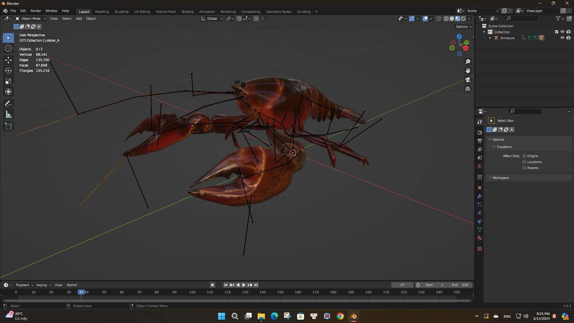 Lobster-A1-Animated 3D Model by Animated3d