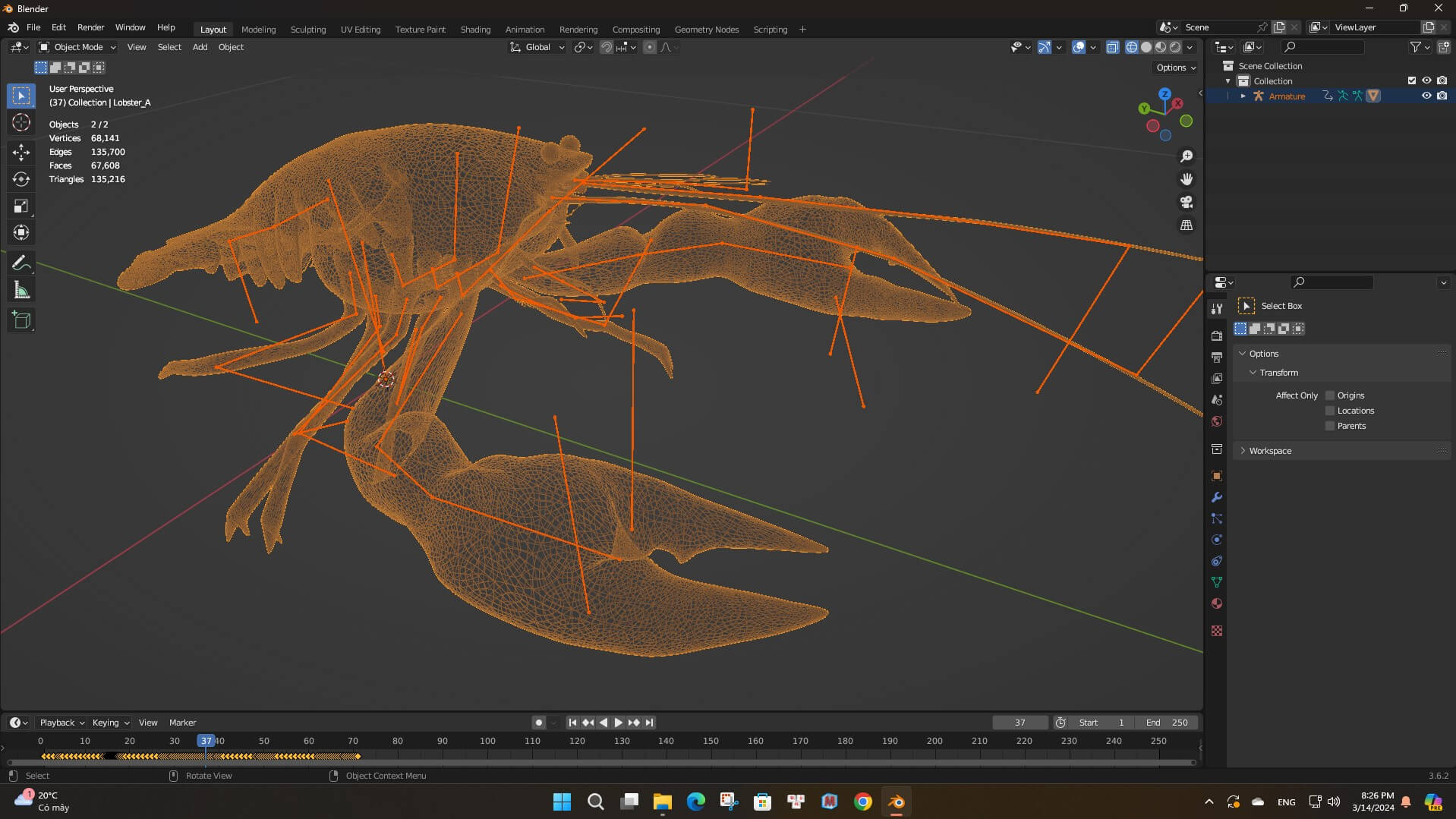 Lobster-A1-Animated 3D Model by Animated3d