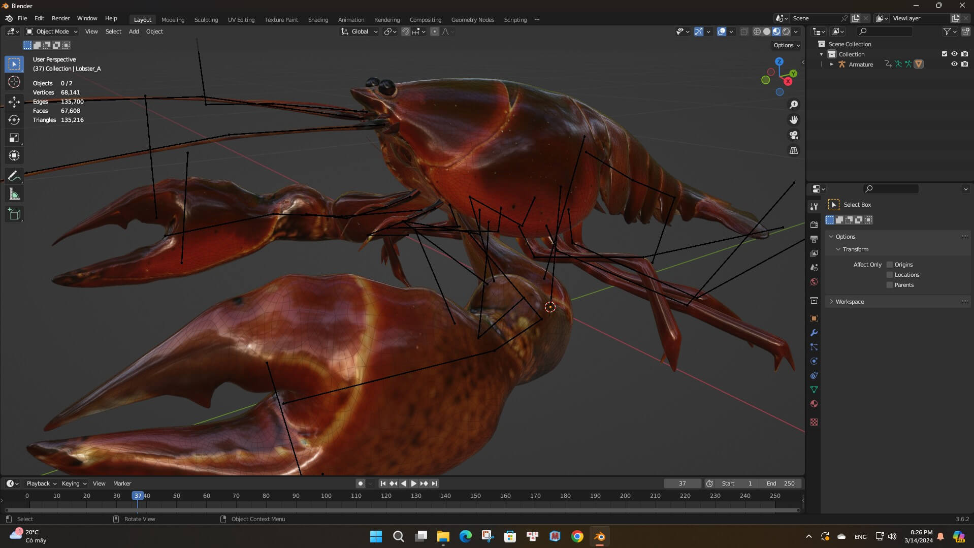 Lobster-A1-Animated 3D Model by Animated3d