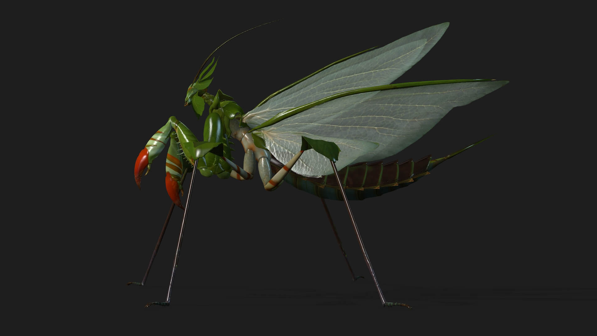 Mantis-A1-Animated 3D Model by Animated3d